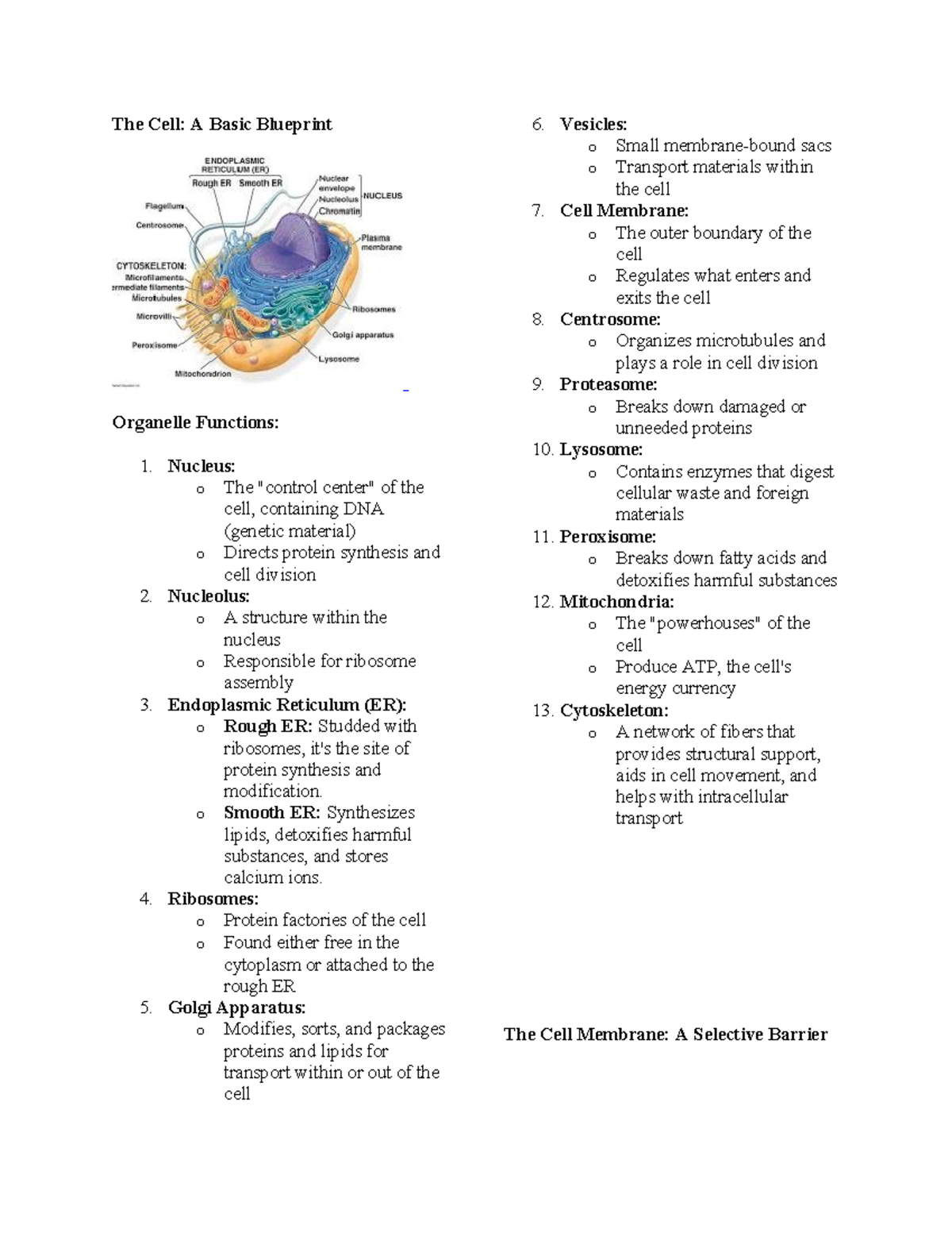 Teaching sheet unit2 - The Cell: A Basic Blueprint Organelle Functions ...