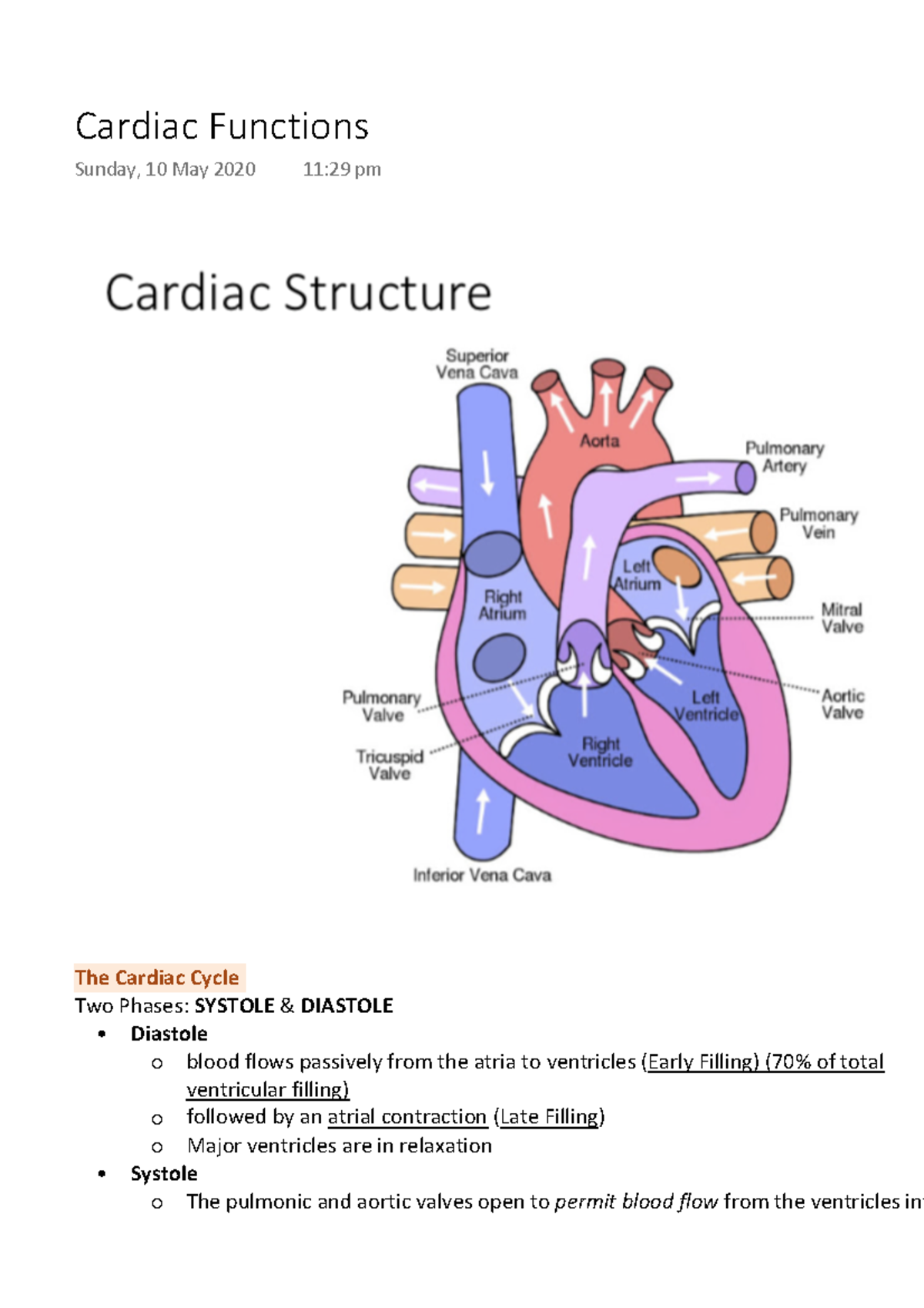 Cardiac Functions - The Cardiac Cycle Two Phases: SYSTOLE & DIASTOLE ...