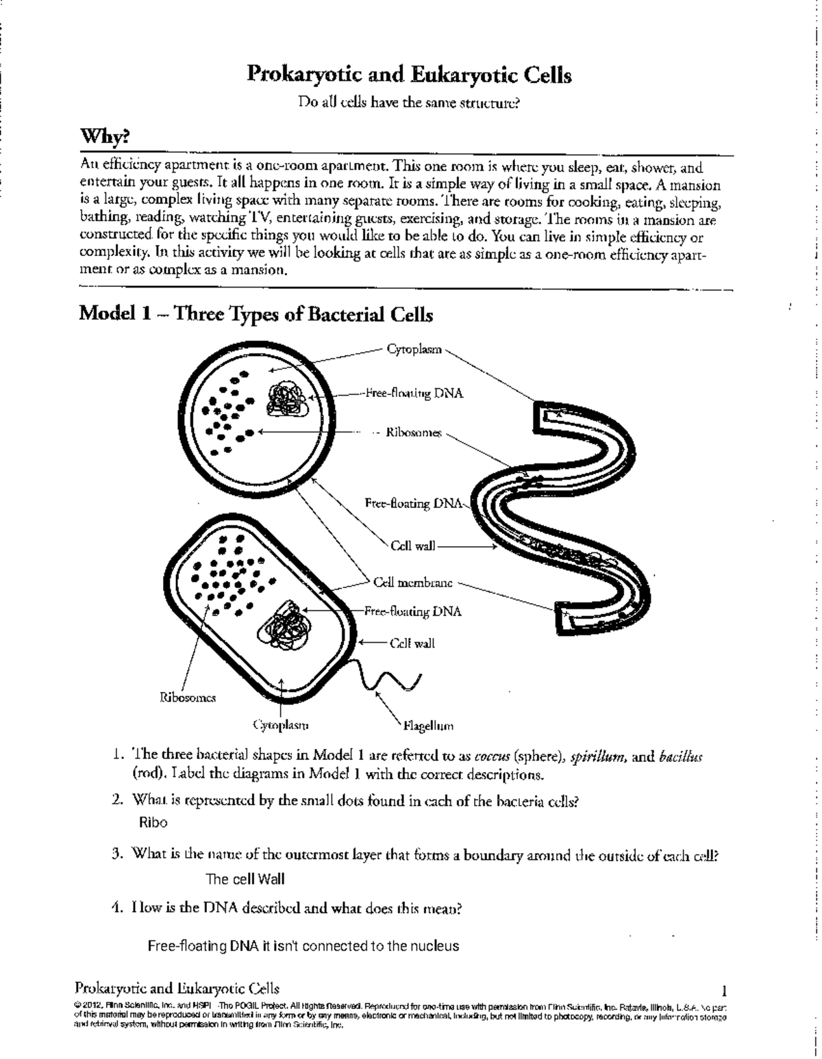 Kami Export - Jah'mari Mayes - POGIl cell types - Studocu