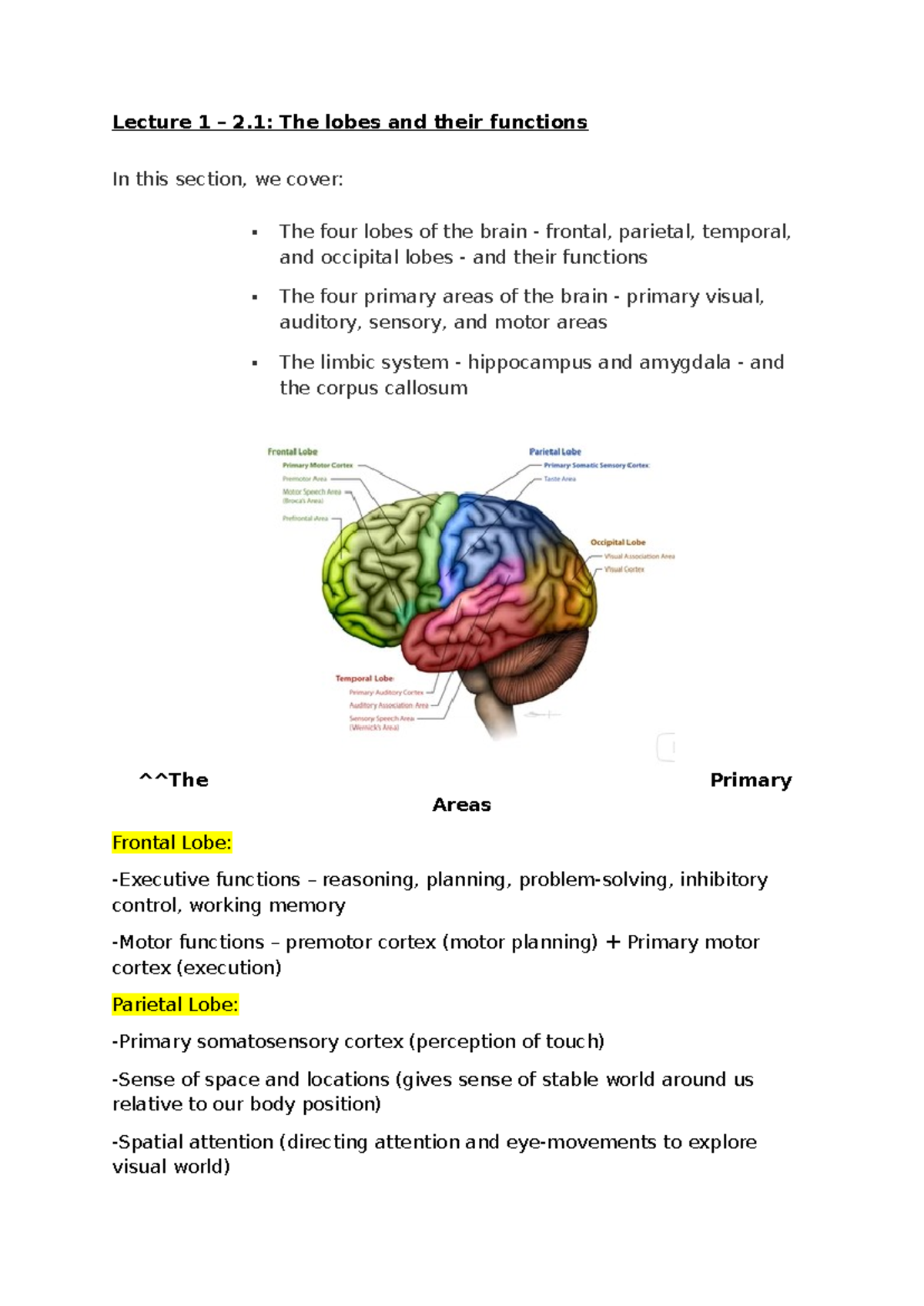M2 - module 2 - Lecture 1 – 2: The lobes and their functions In this ...