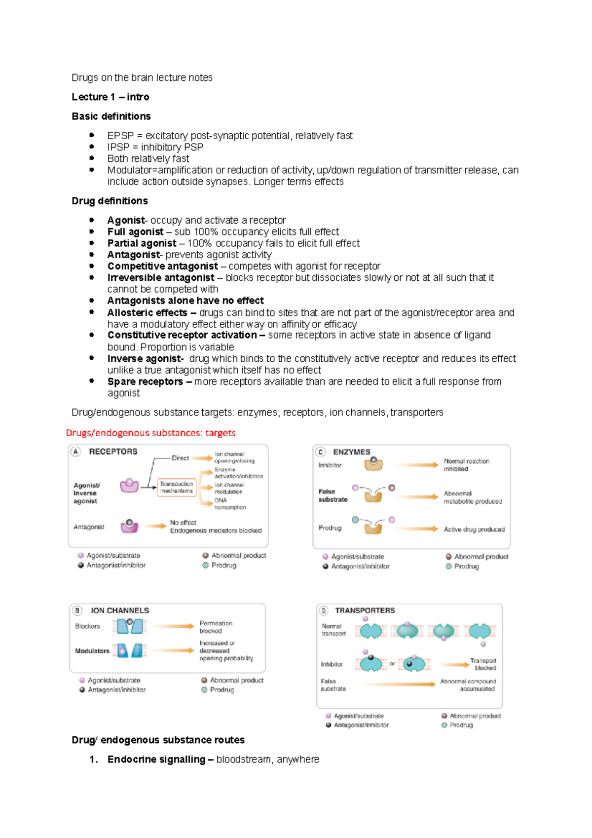 Drugs on the brain lecture notes - Drugs on the brain lecture notes ...