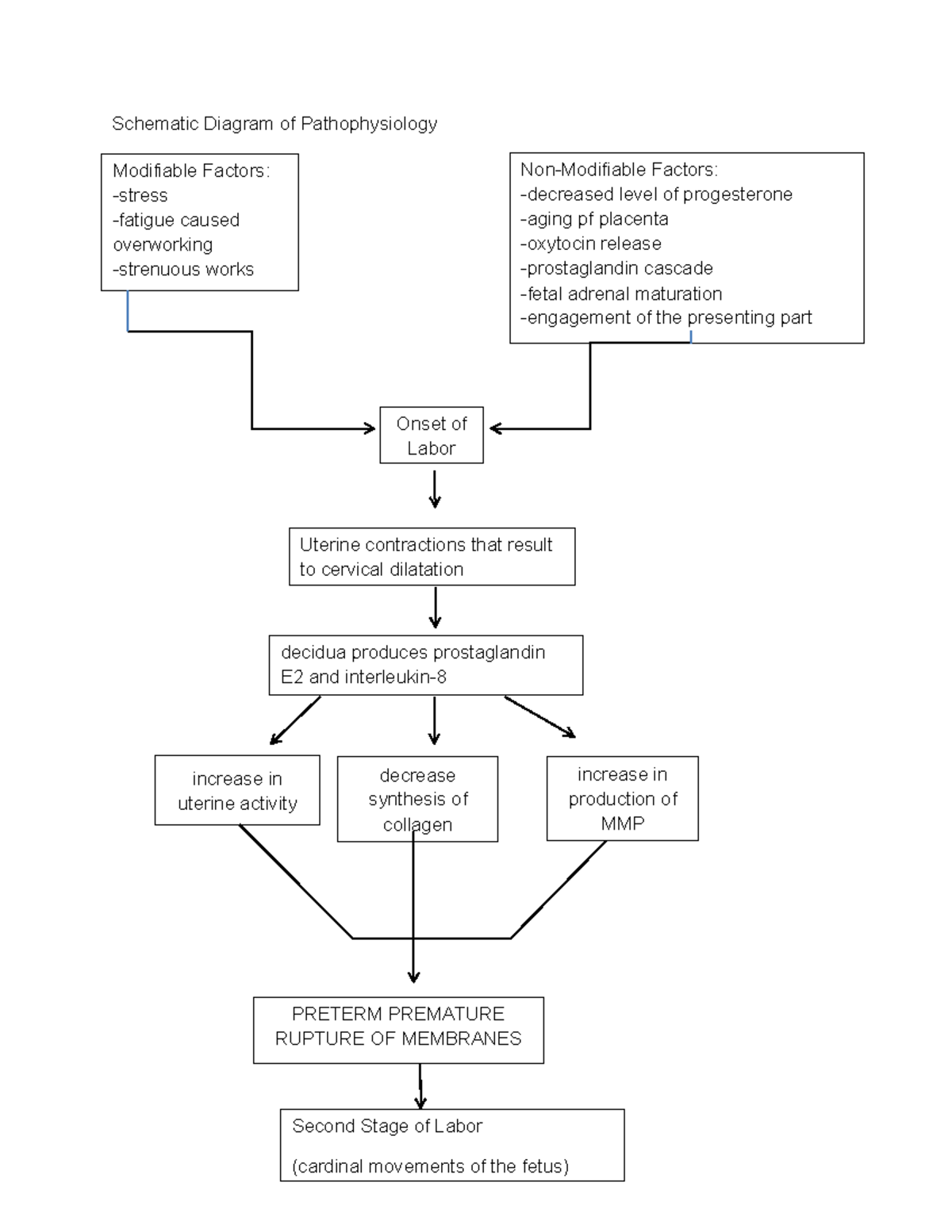 299594939-Schematic-Diagram-of-the-Pathophysiology-of-giving-birth ...