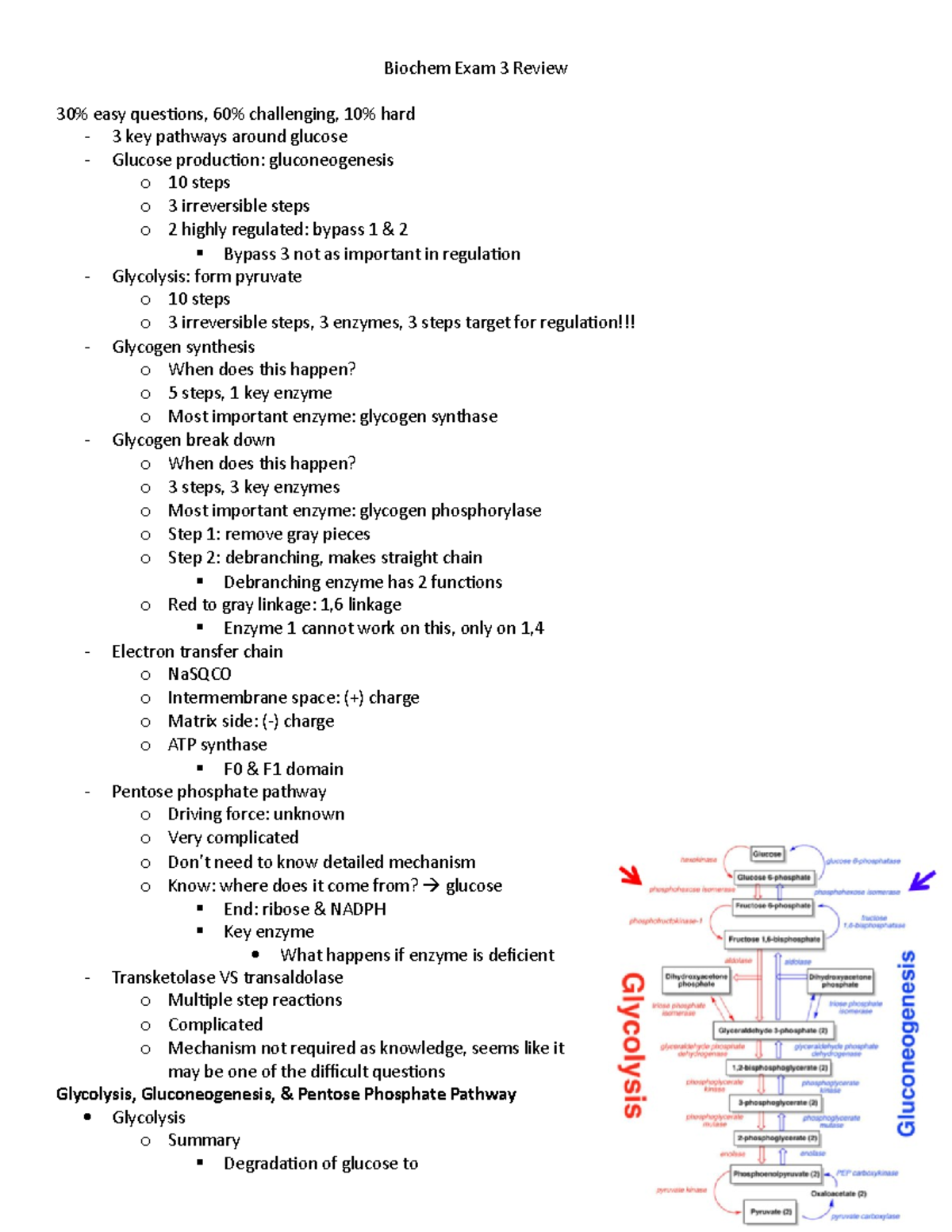 Biochem 2 Exam 3 Review - Biochem Exam 3 Review 30% easy questions, 60% ...
