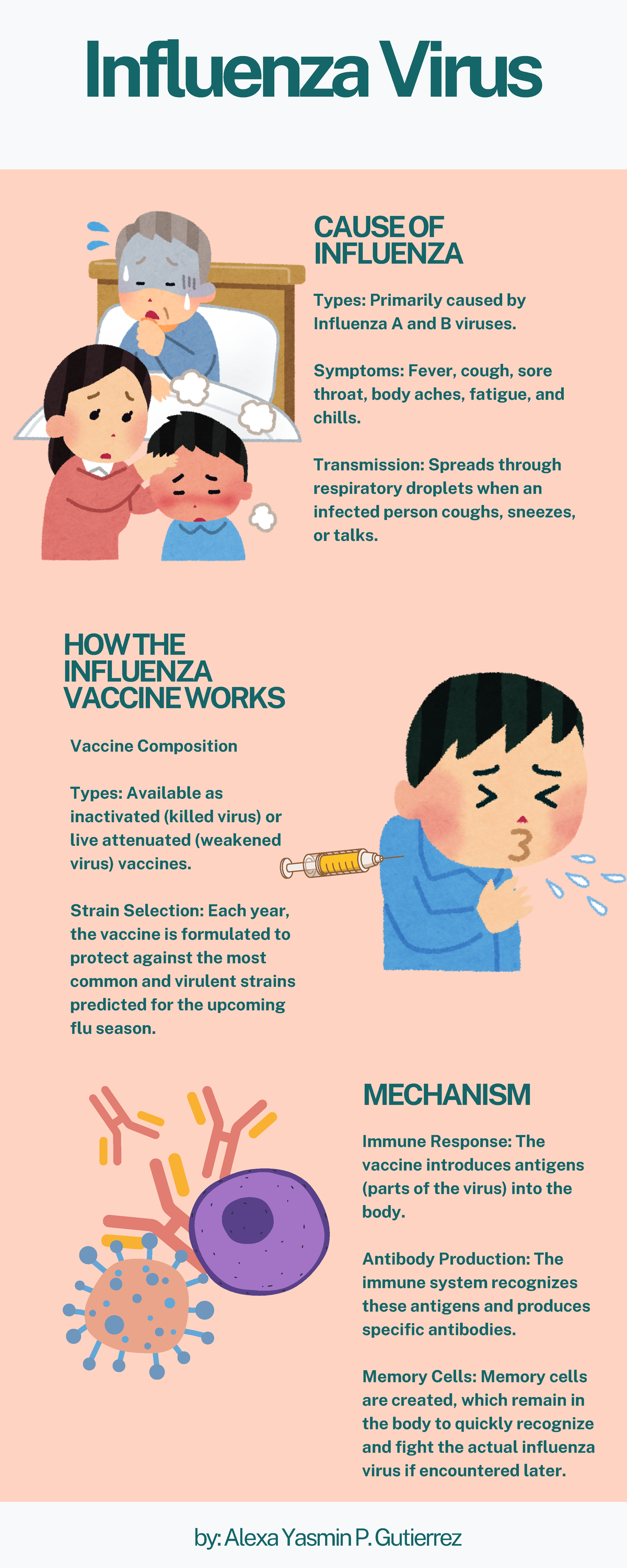 Quality medical care for the whole family - Influenza Virus Types ...