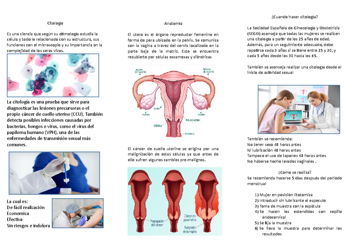 TRiptico - estudiante - ¿Cuando hacer citología? La Sociedad Española de Ginecología y ...