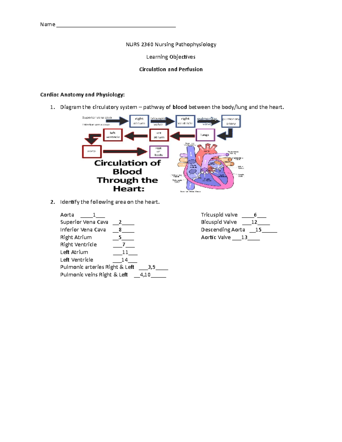 Learning Objective Circulation and Perfusion Cardiac - NURS 2360 ...
