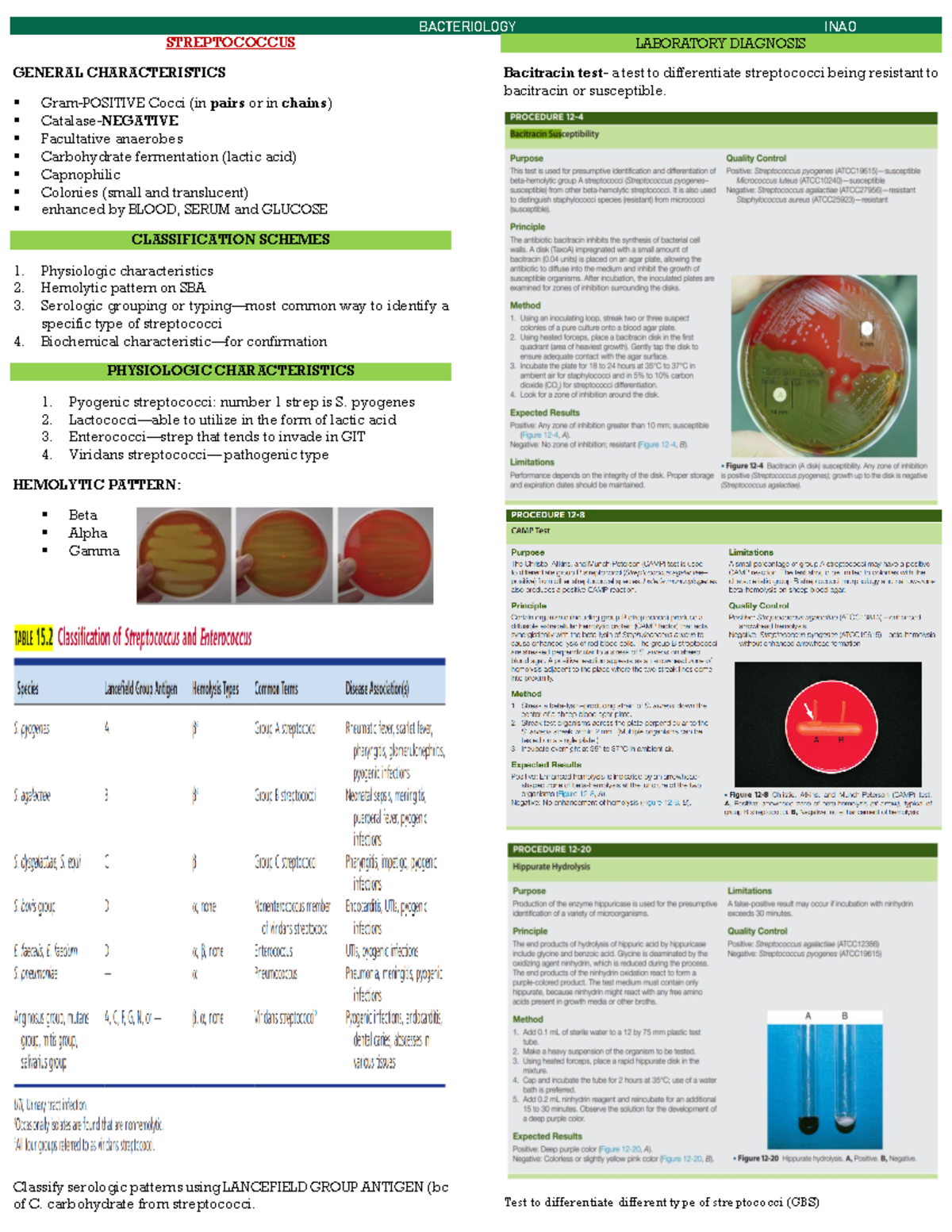 Streplab - STREPTOCOCCUS GENERAL CHARACTERISTICS Gram-POSITIVE Cocci ...