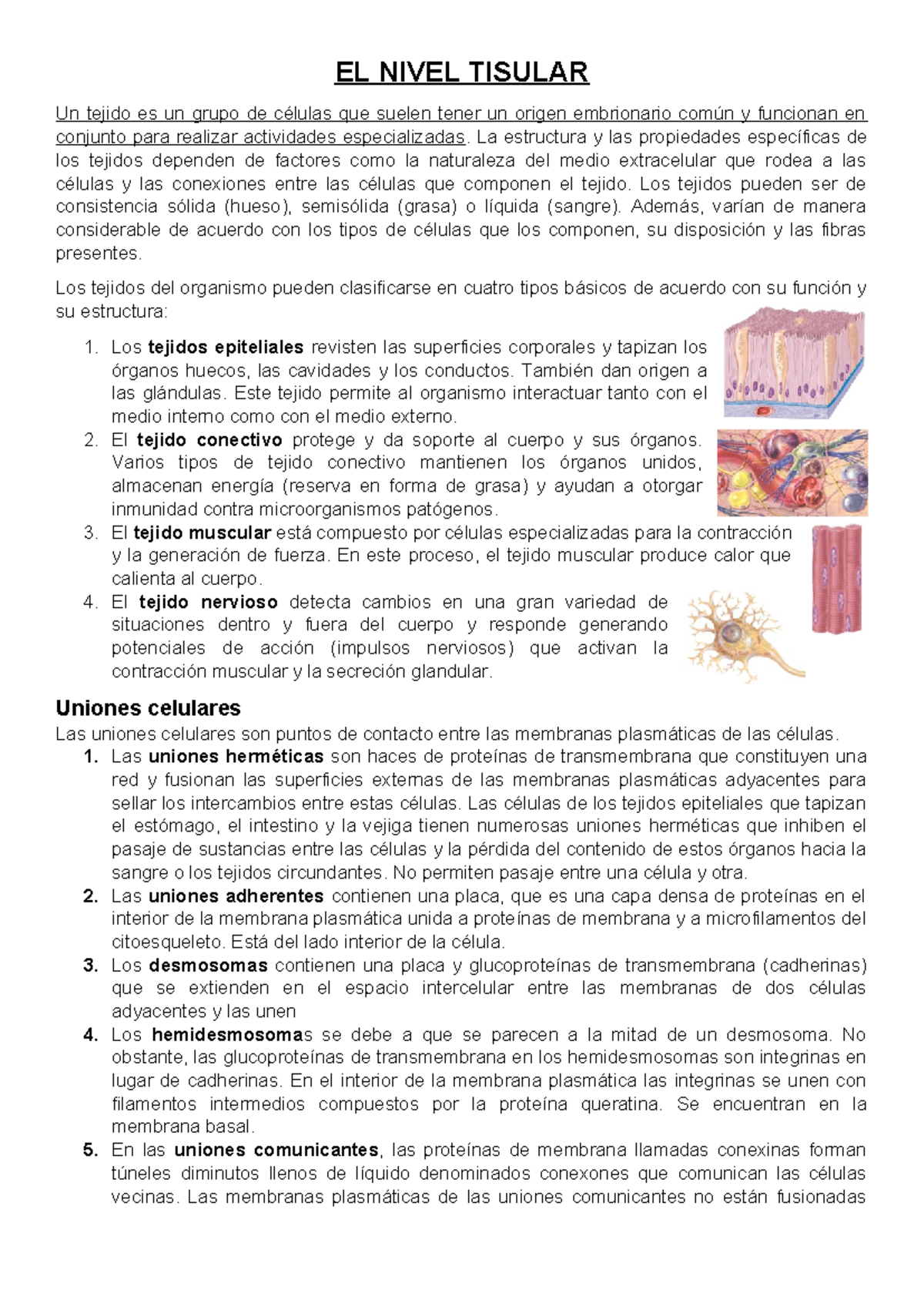 Nivel tisular Resumen - Tortora - EL NIVEL TISULAR Un tejido es un ...