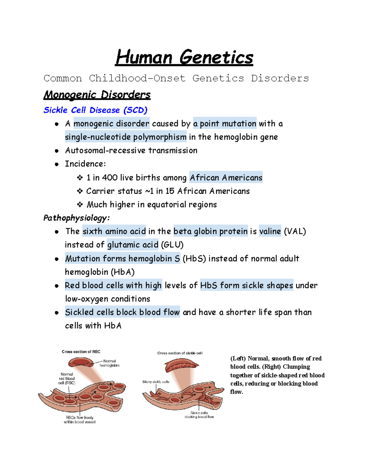 Human Genetics - These were notes taken in class. They were very ...