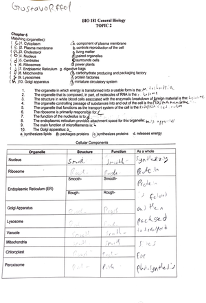 BIO 205L RS Lab Report Format Guide - Lab Report Format Guide For this ...