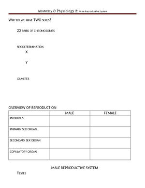 11. AP1 Endocrine outline - MAIN FUNCTIONS ENDOCRINOLOGY COMPONENTS OF ...