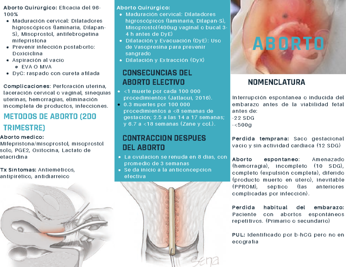 Resumen de Aborto Williams - ABORTO Interrupción espontanea o inducida ...
