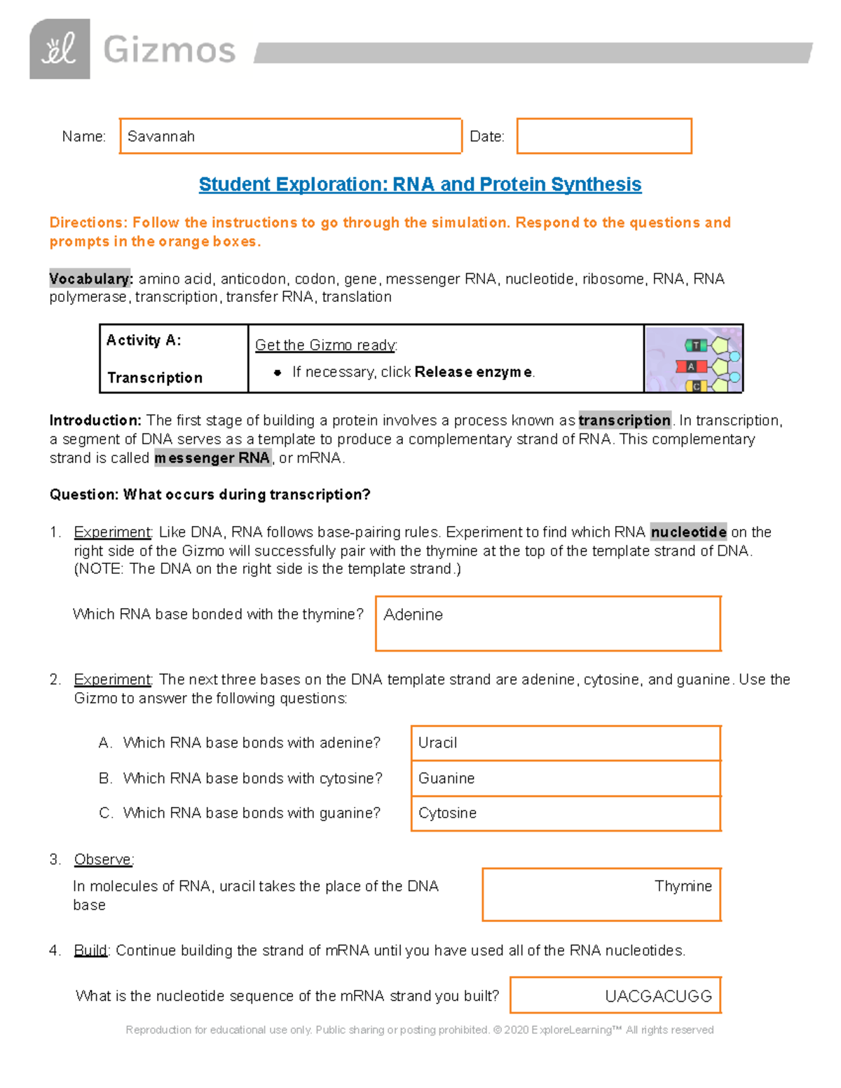 RNA and Protein Synthesis Practice - Name: Savannah Date: Student ...