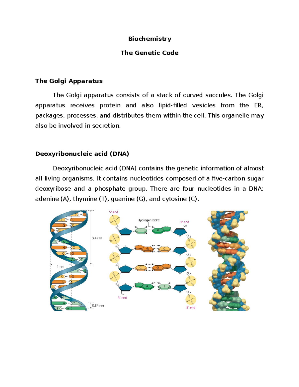 The Genetic Code - Notes in Biochemistry - Biochemistry The Genetic ...