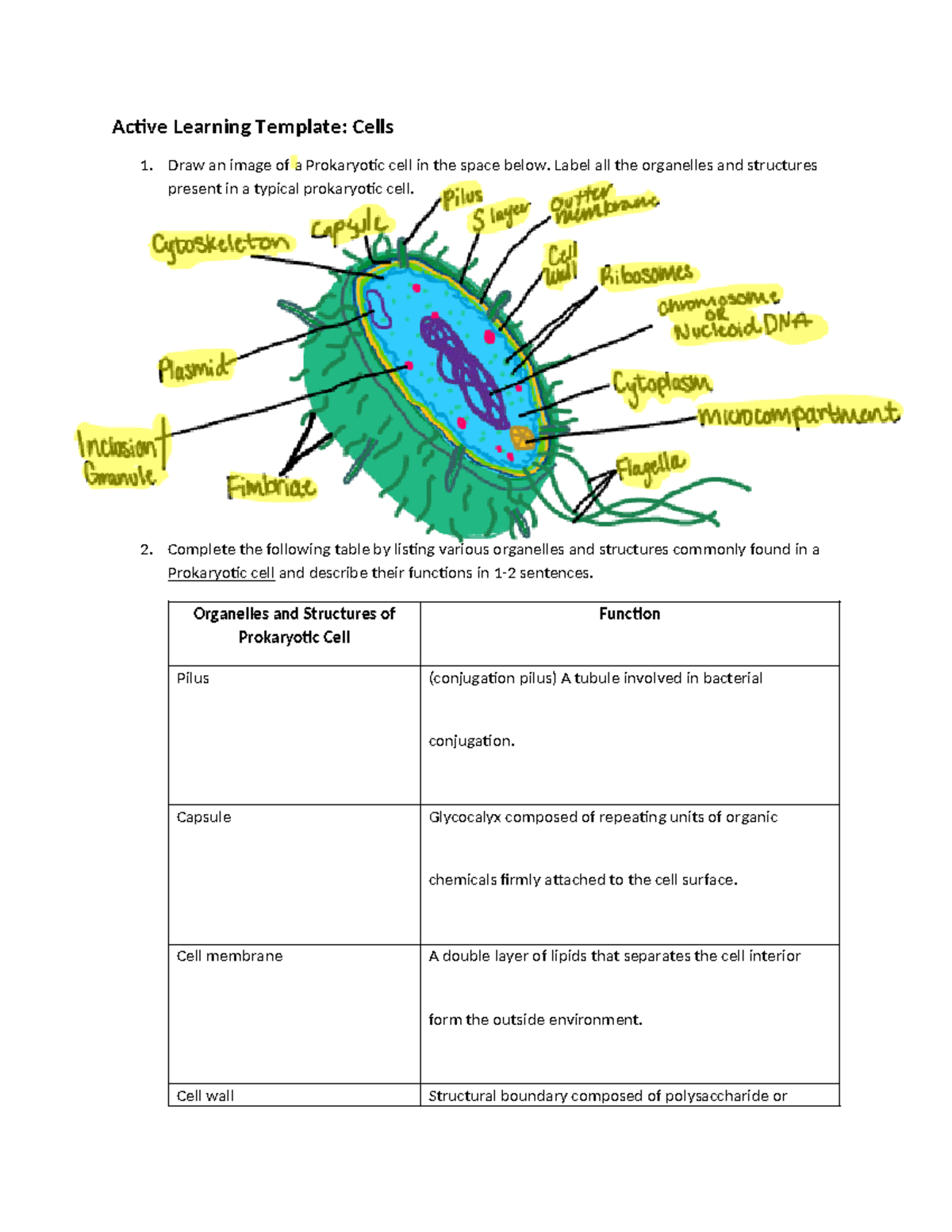 BIOS242 wk 2 assignment - Active Learning Template: Cells 1. Draw an ...