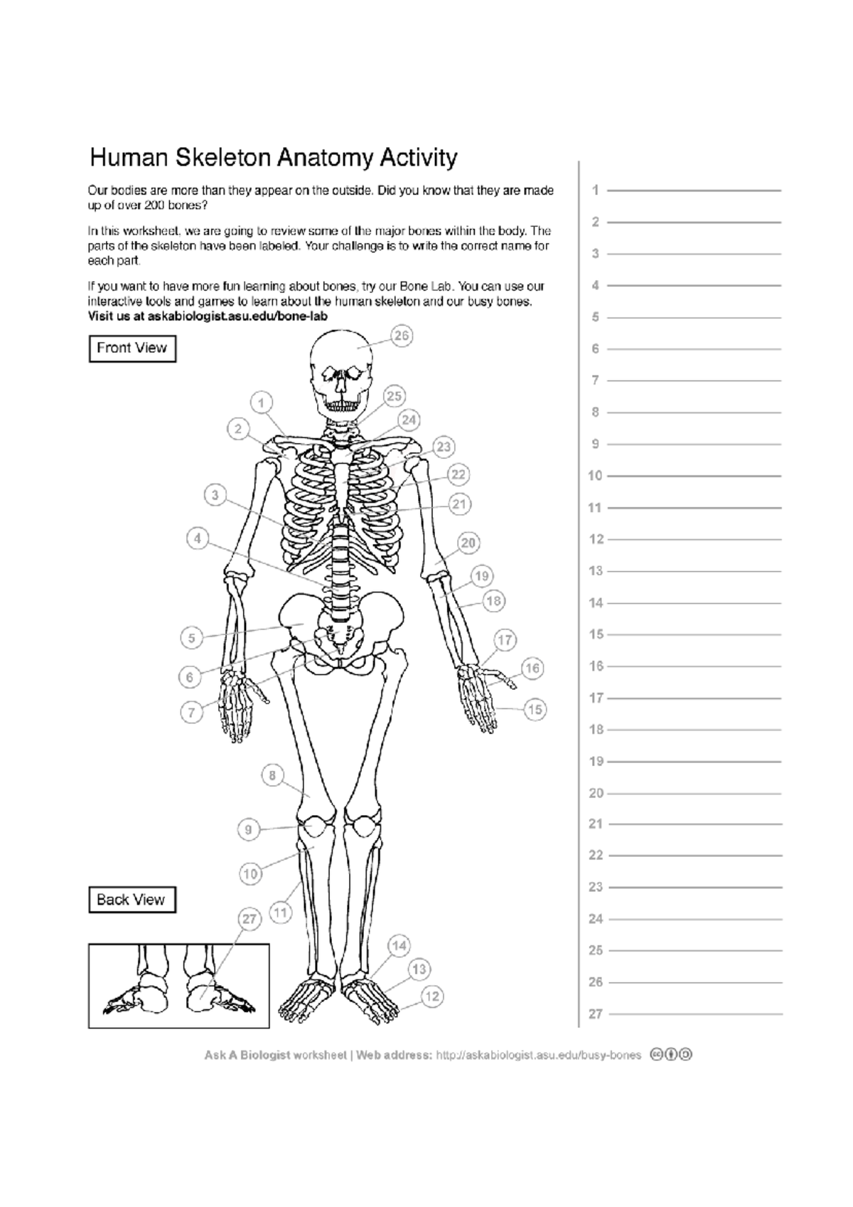 Skeleton Label Quiz - Biology 101 - Human Skeleton Anatomy Activity Our ...
