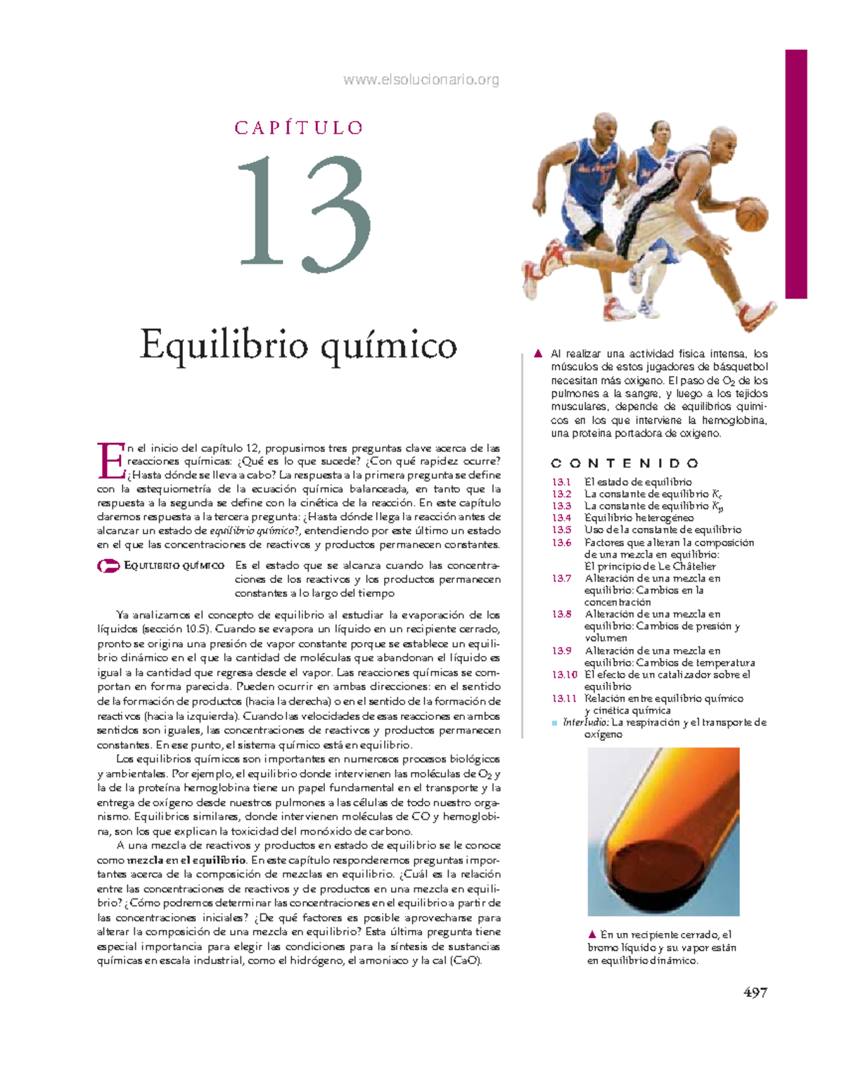 Obtener Archivo Recurso - C A P Í T U L O 13 Equilibrio químico C O N T E N I D O 13 El estado ...