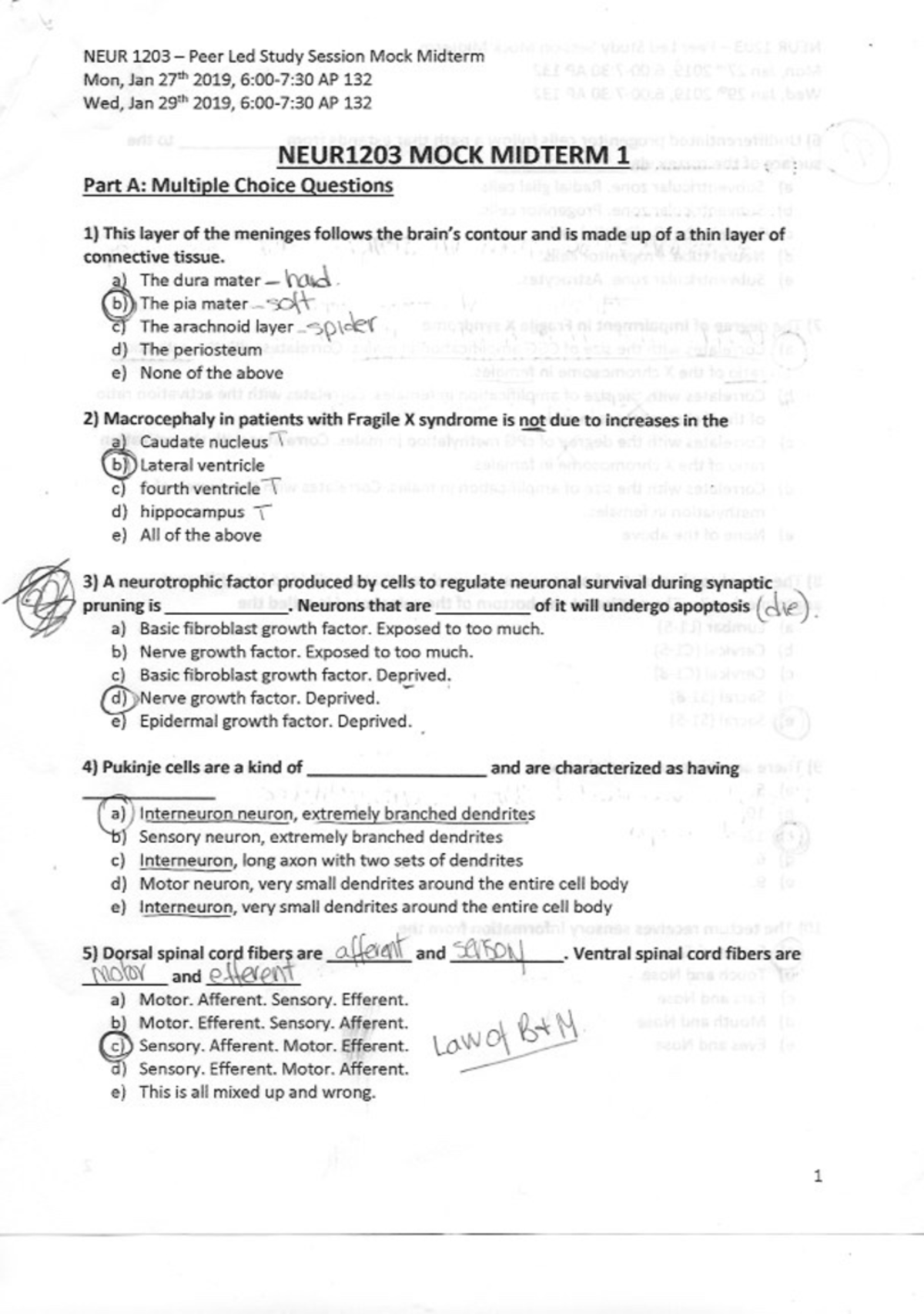 Mockmidterm - Mock midterm - Neur 1203 - Studocu