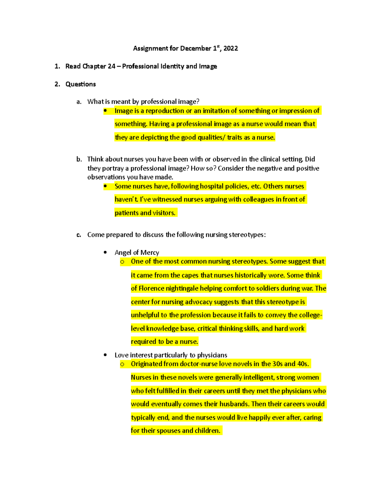 Assignment for December 1st - What is meant by professional image ...