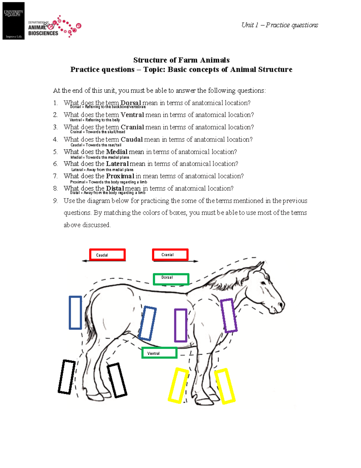 Practice Questions for Unit 1 - Beef Unit 1 – Practice questions ...