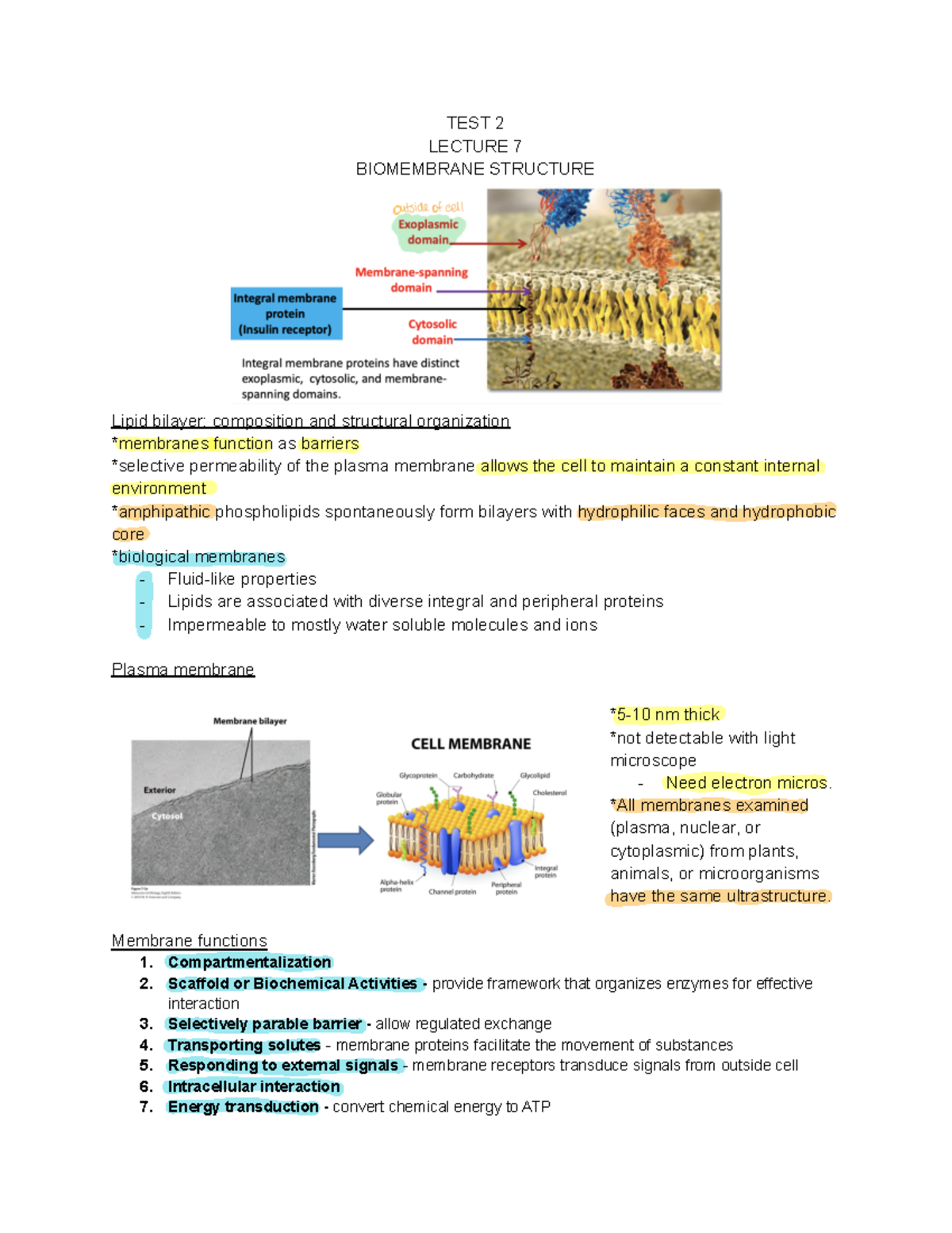 Biomembrane Stuctures - TEST 2 LECTURE 7 BIOMEMBRANE STRUCTURE Lipid ...