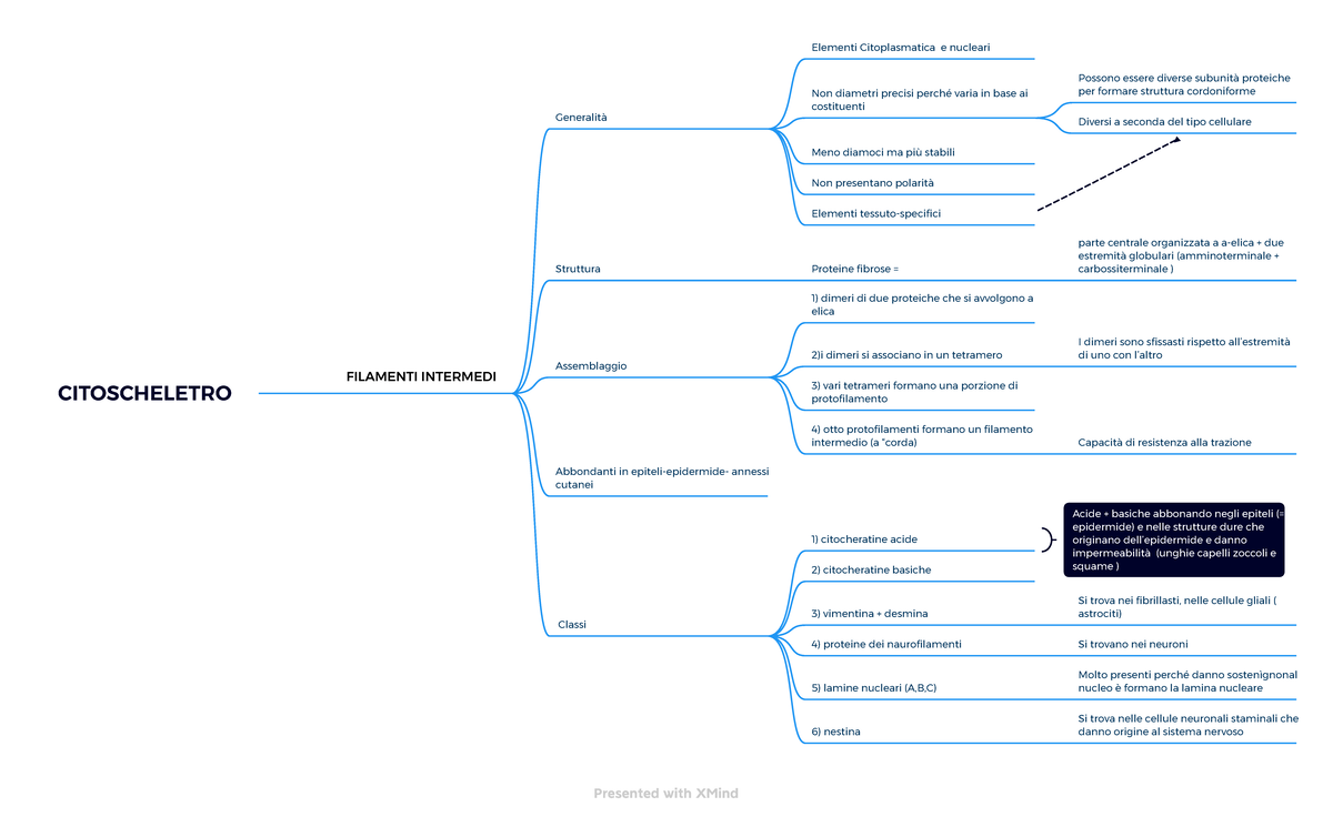 Filamenti intermedi - Schemi per ripassare - CITOSCHELETRO FILAMENTI ...