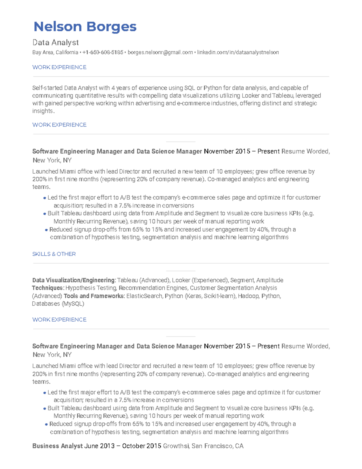 New template - Software Engineering Lead - Nelson Borges Data Analyst ...