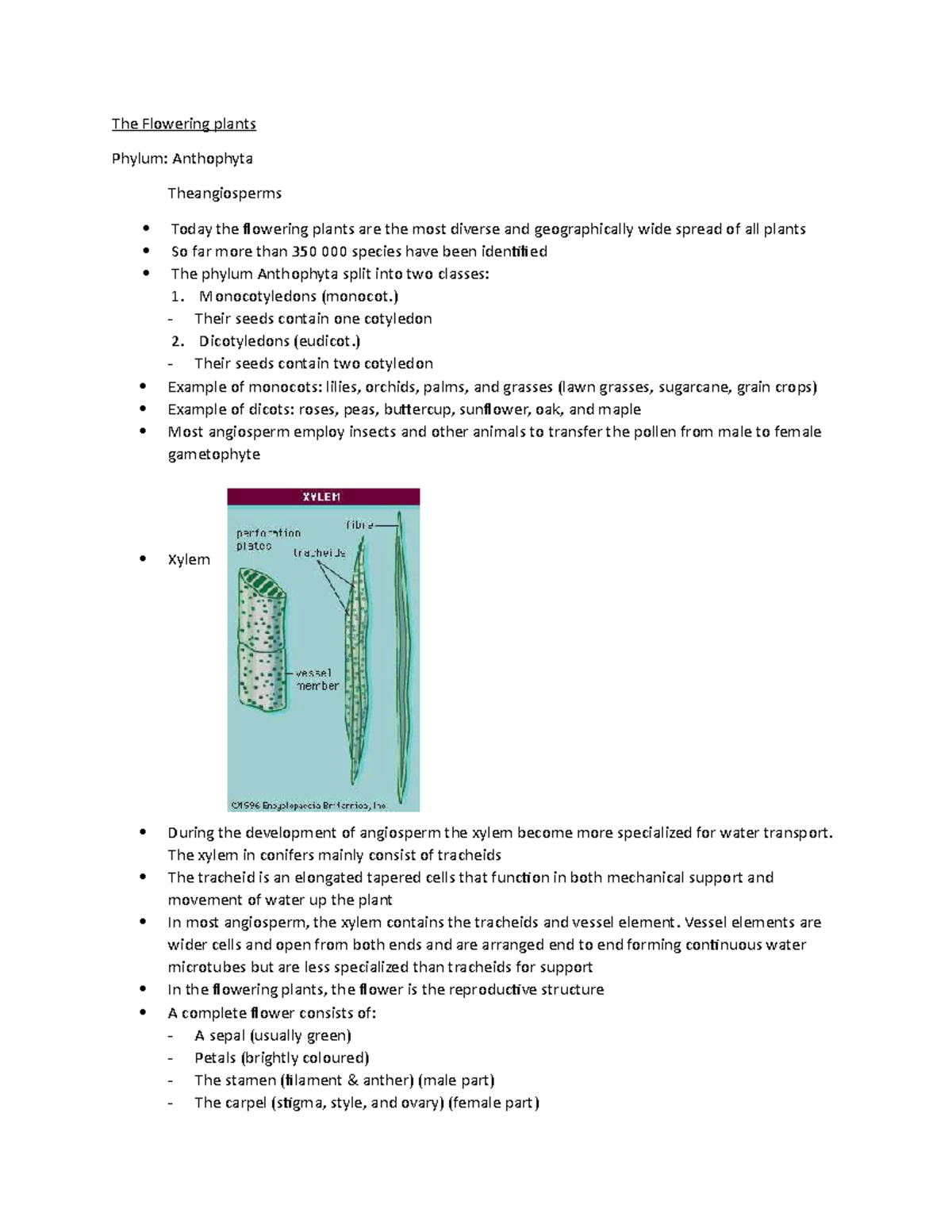 Lecture 4 Notes (Jan. 19, 2017) - The Flowering plants Phylum ...