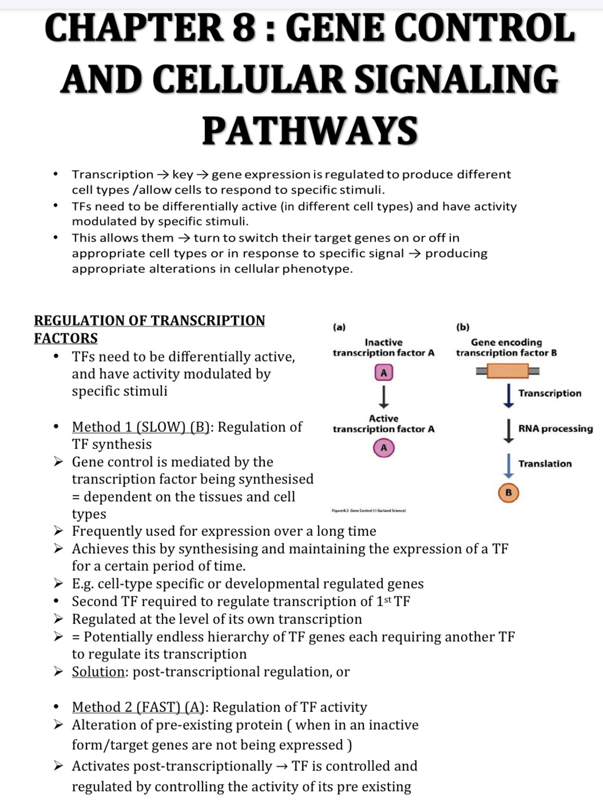 Introduction to genetics - Bio 1643 - Studocu