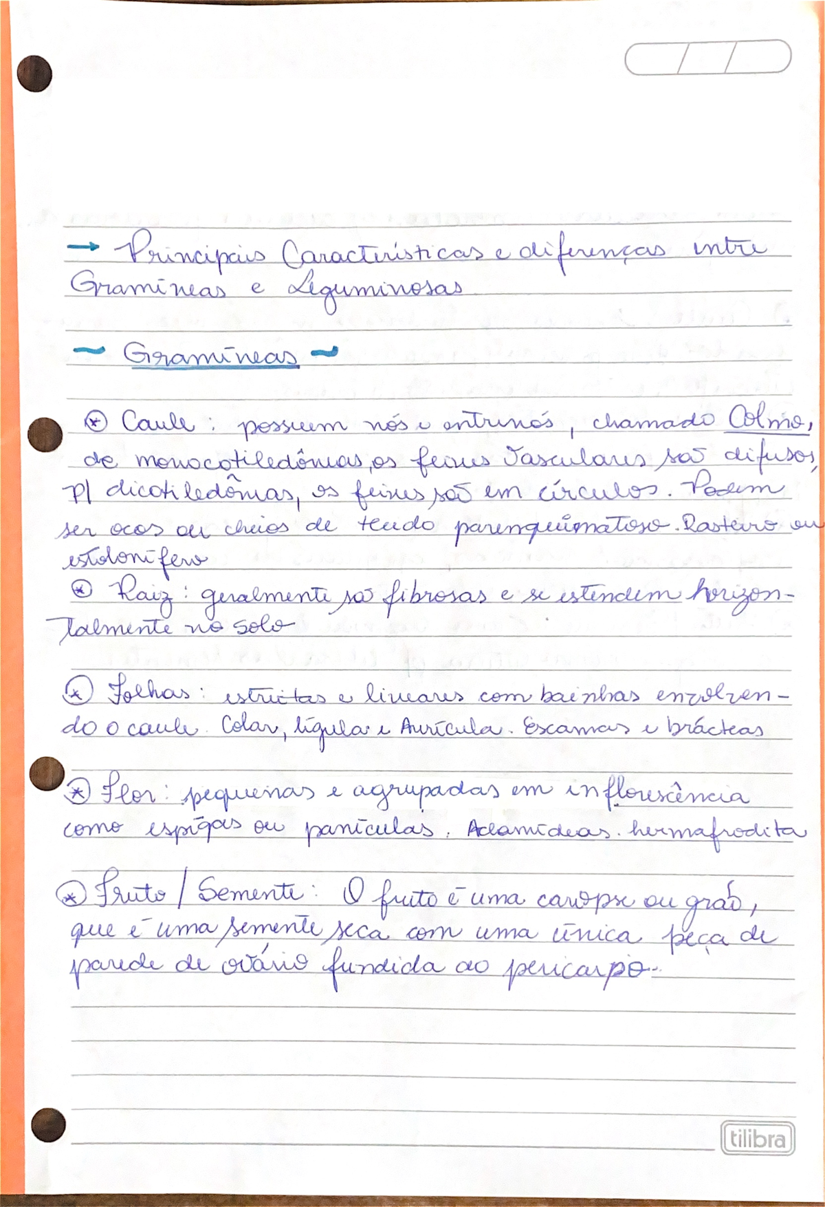 Forragicultura diferenca gramineas e leguminosas - Forragicultura e ...