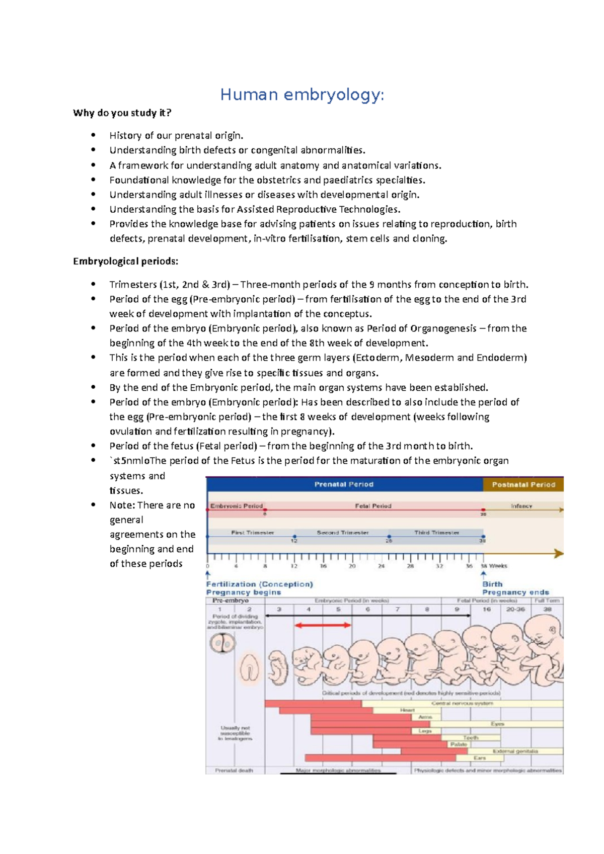 Embrology - Human embryology: Why do you study it? History of our ...