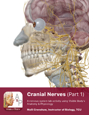 Lab manual cranial nerves atlas part 2 - This lab activity is aligned with Visible Body’s Human ...