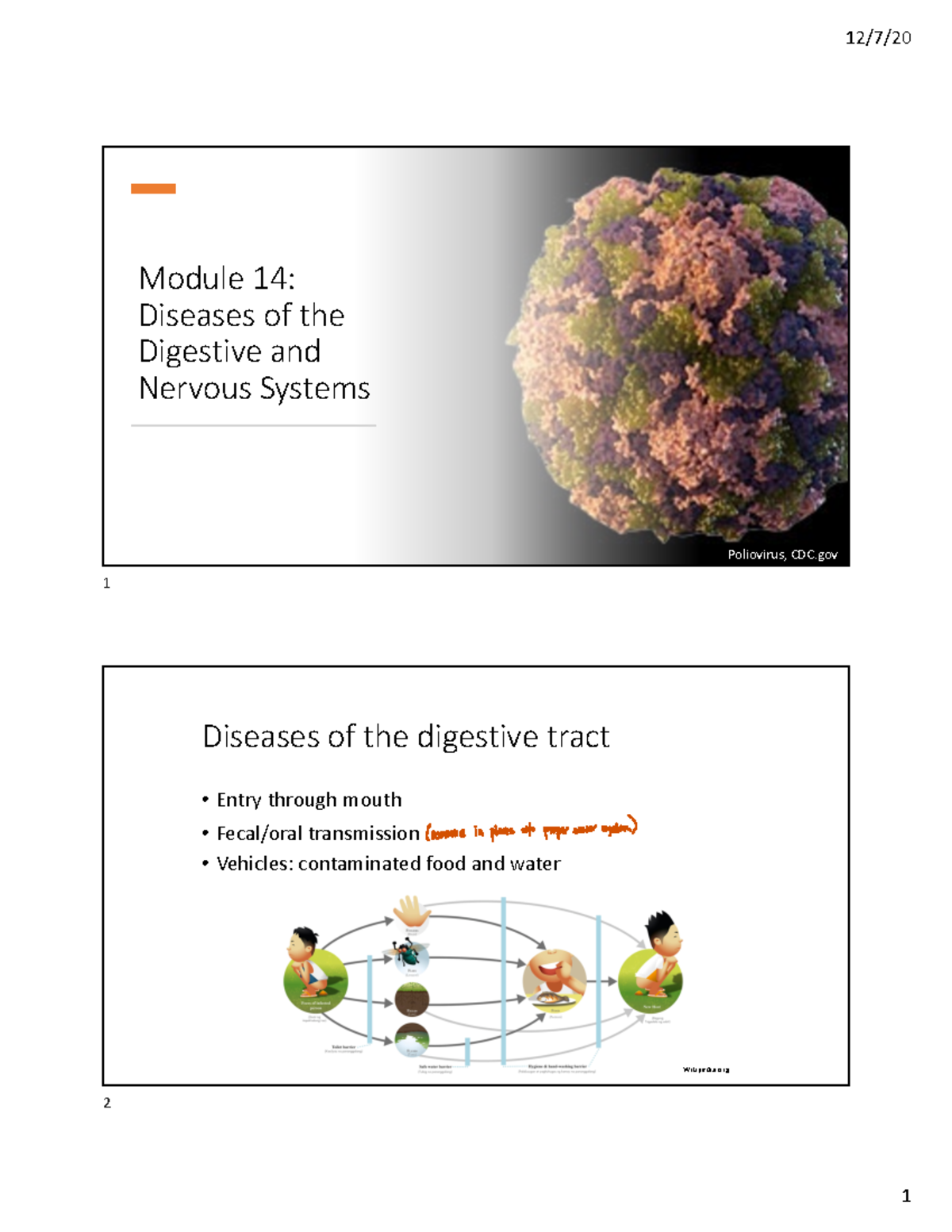 Module 14 Diseases of the Digestive and Nervous Systems - Module 14 ...