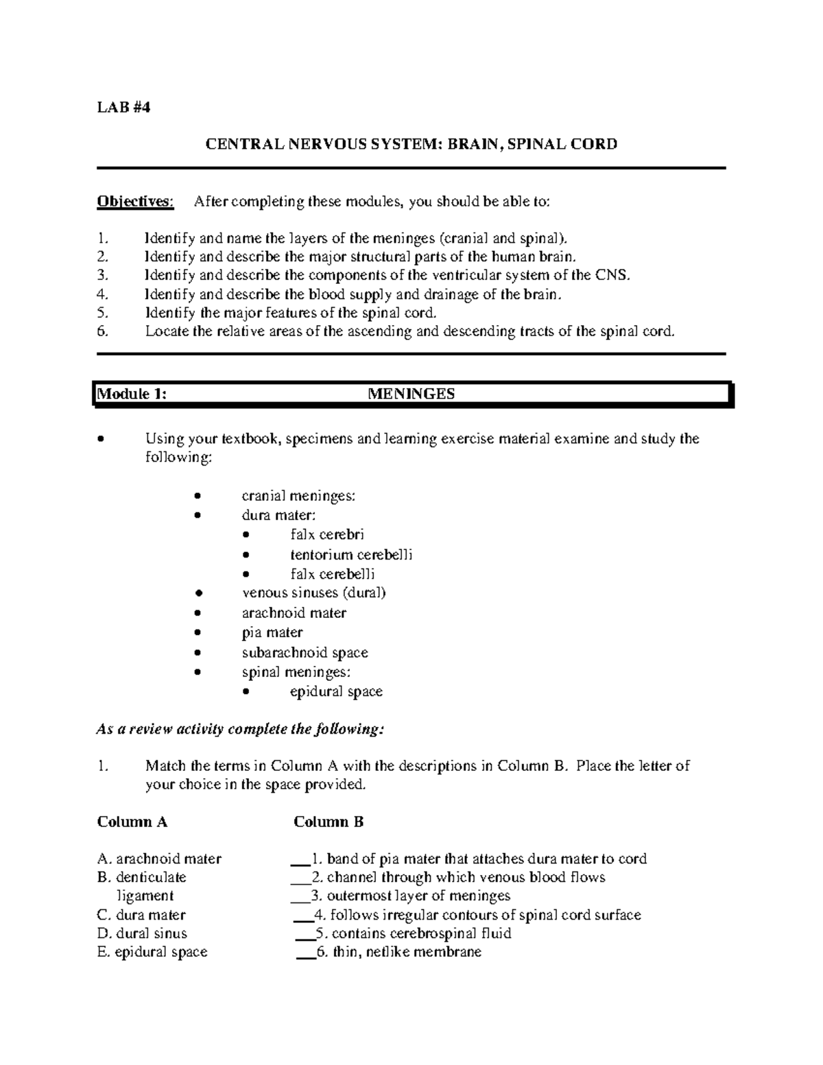 Lab 4 CNS1 - Lab 4 of first semester anat215 labs - LAB CENTRAL NERVOUS ...