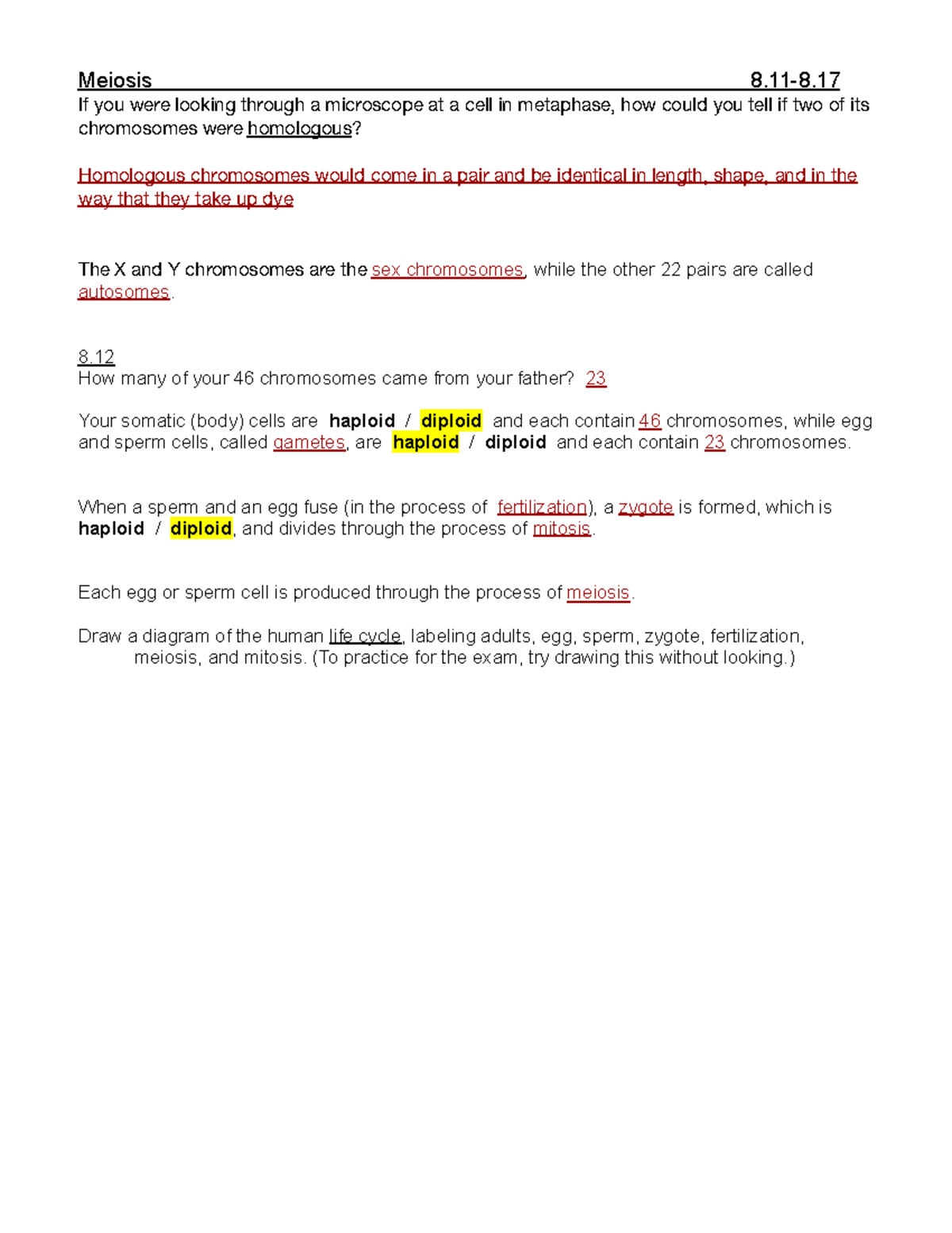 Meiosis Guided Notes - Meiosis 8-8. If you were looking through a ...
