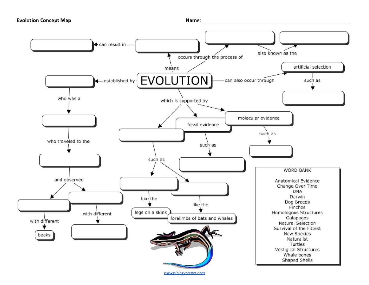 Evolution Concept Map - Studocu