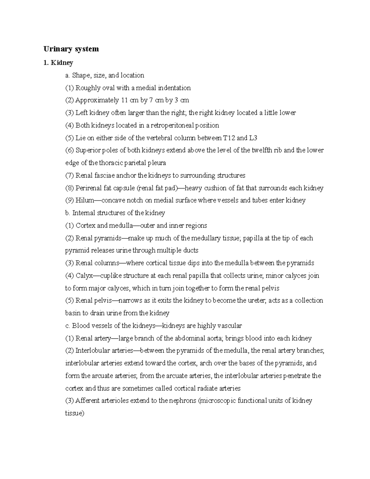 Urinary system - notes - Urinary system Kidney a. Shape, size, and ...
