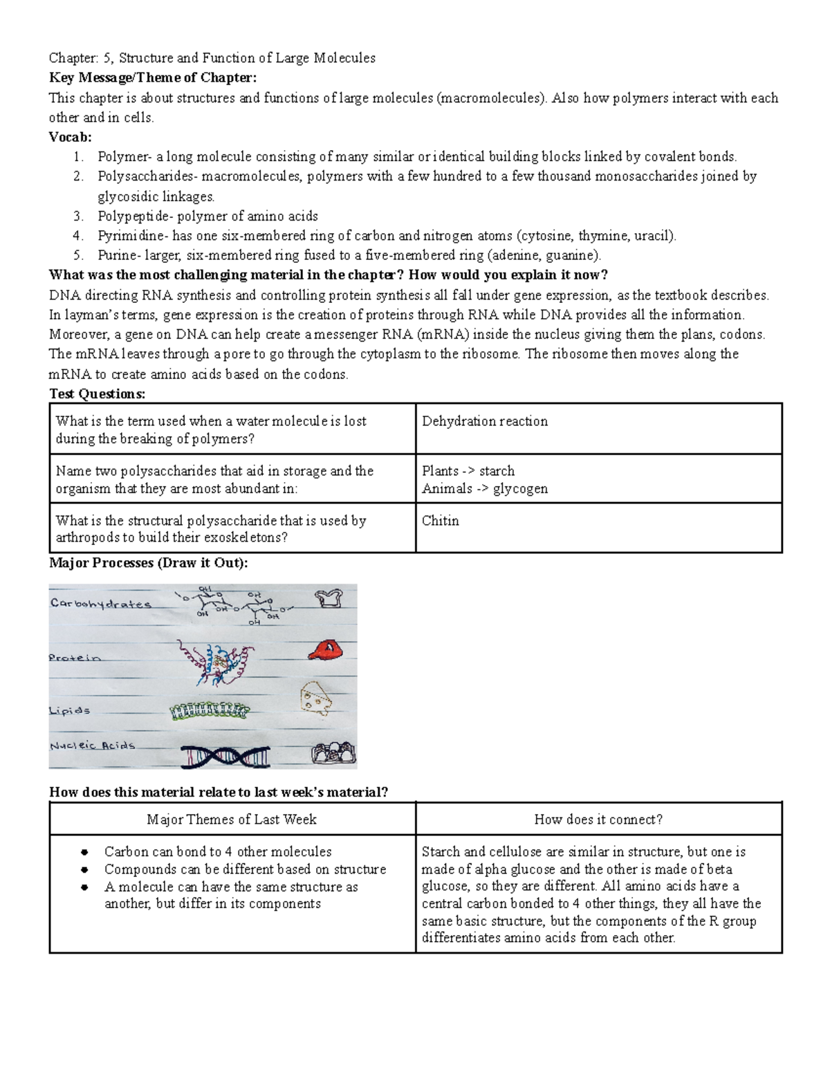 Chapter 5 Study Guide - Chapter: 5, Structure and Function of Large ...