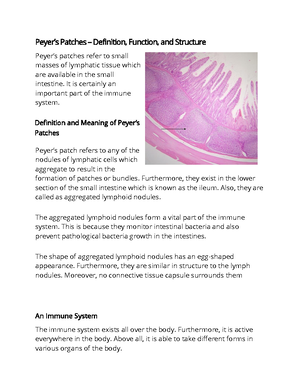 Crops Definition - A crop is a plant that is cultivated or grown on a ...