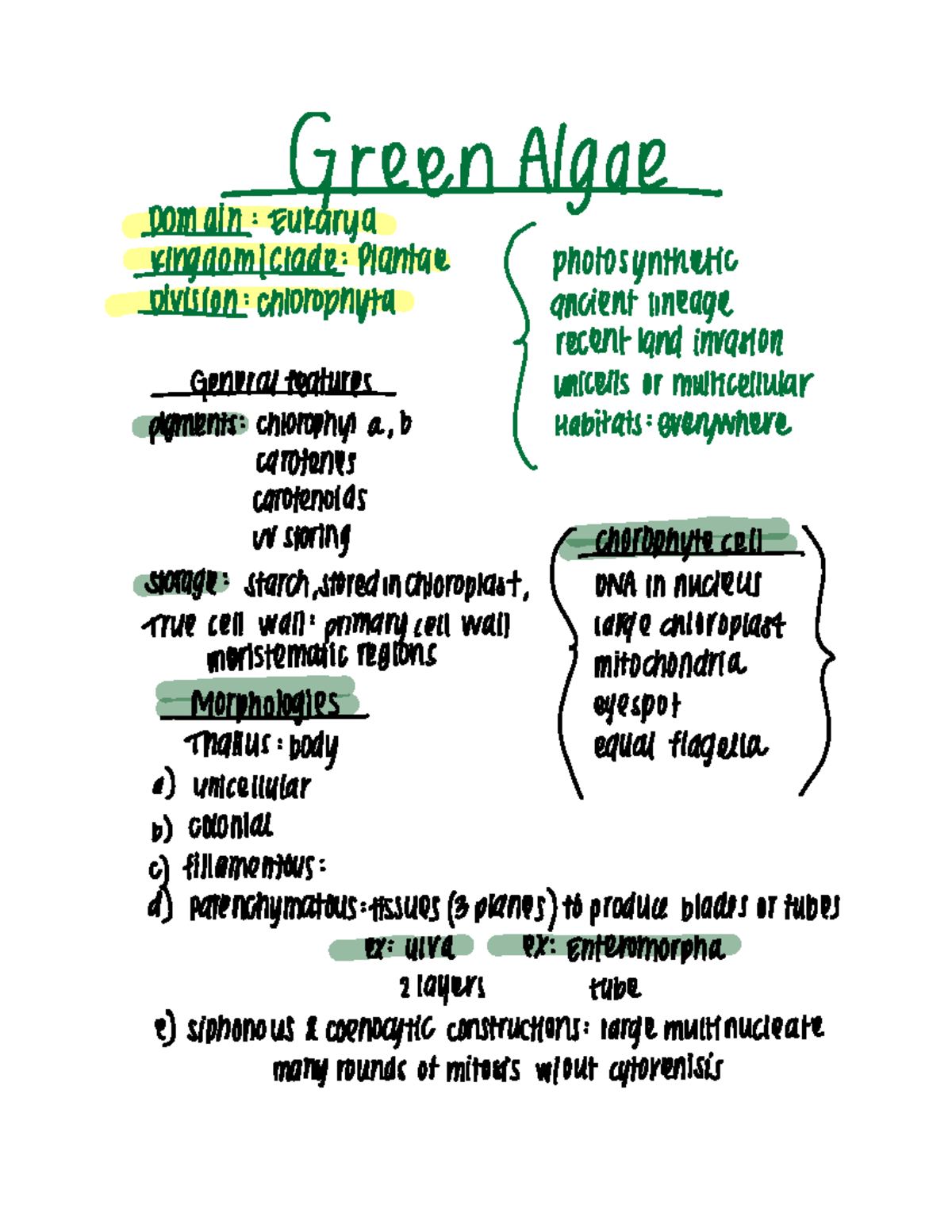 Green algae - Lecture notes 7 - BIOS-3590 - Studocu