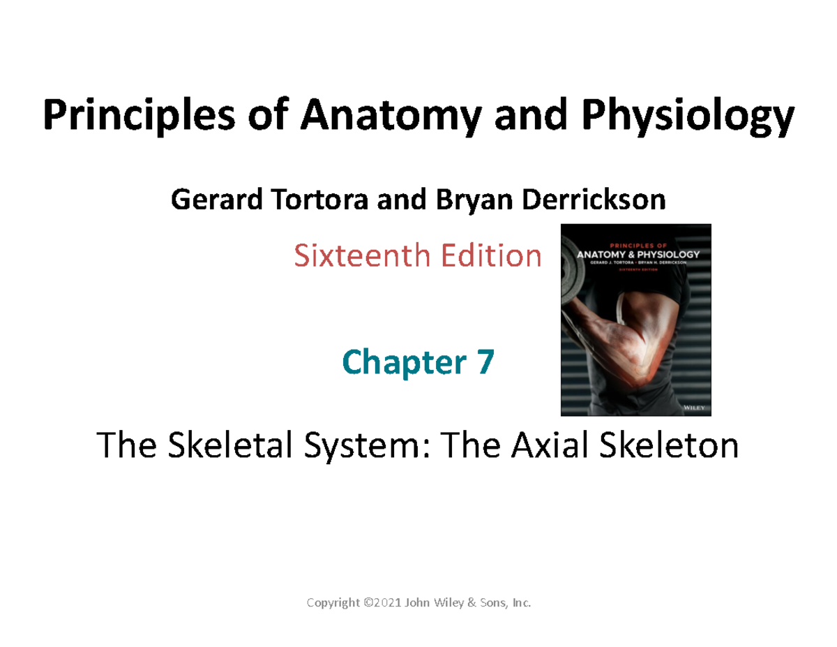 Chapter 7 - The Skeletal System - The Axial Skeleton (ML) - Principles ...