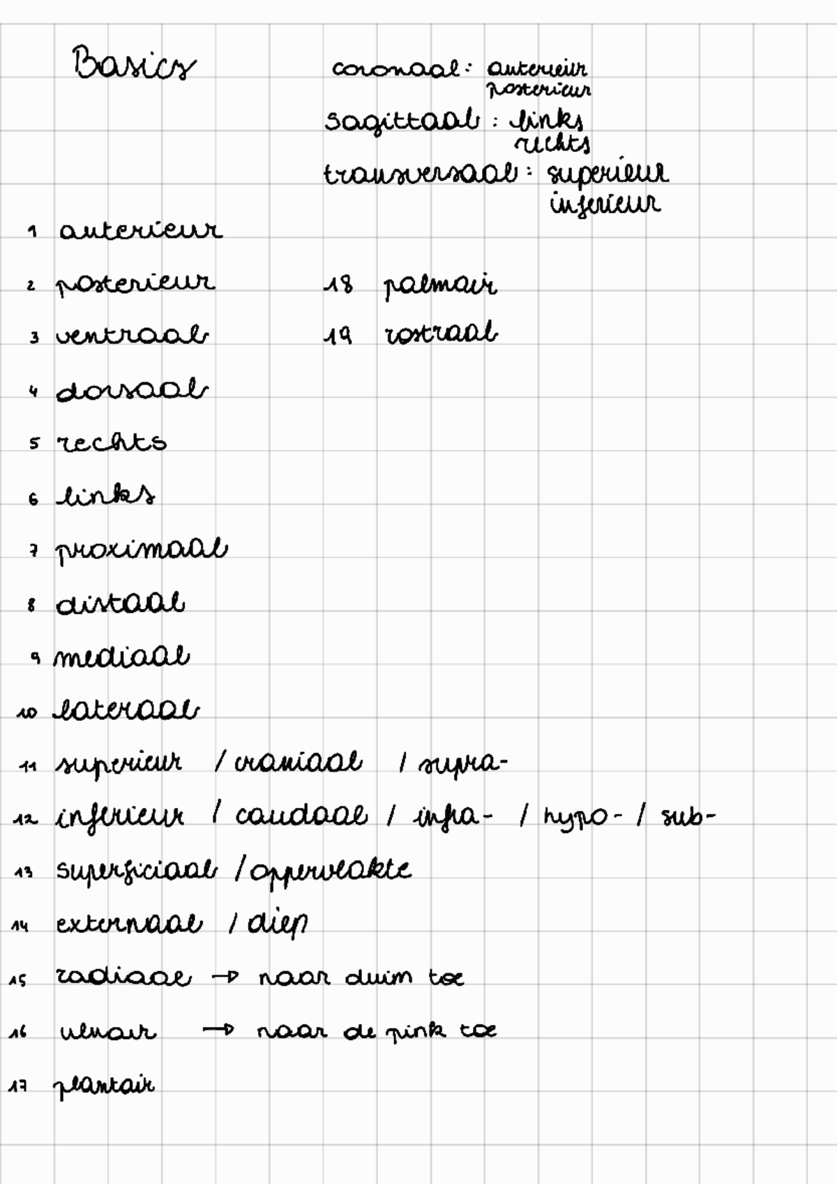 Leerstof basics - gewoon - Basics coronaal: auterieur posterieur ...