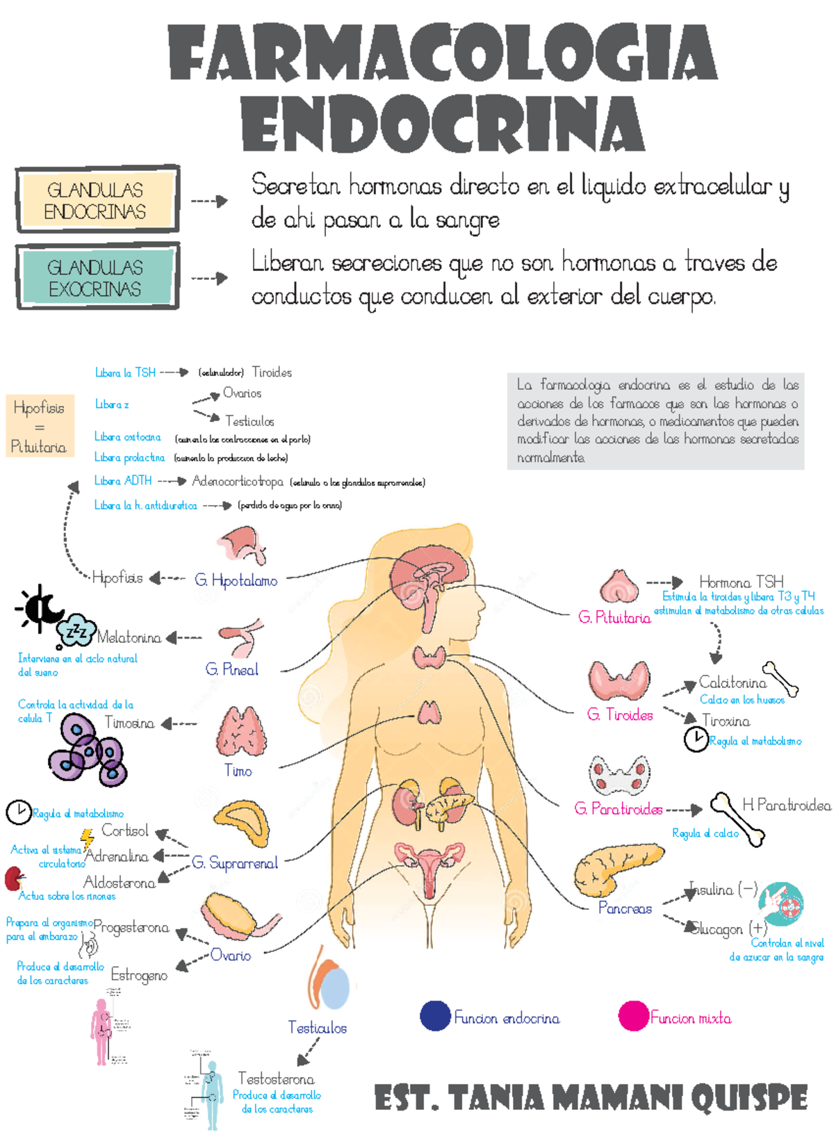 Endocrino Tania Mamani - farmacologia endocrina EST. TANIA MAMANI ...
