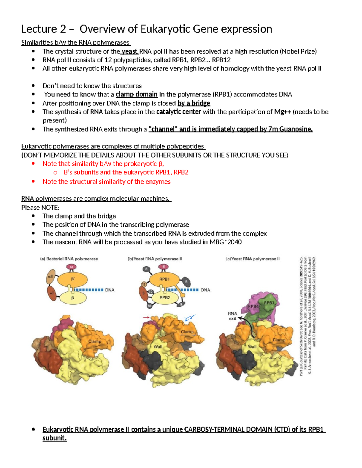 Note 1 - Overview gene expression & regulation - Lecture 2 – Overview ...