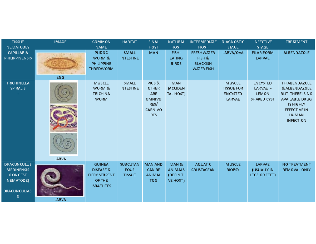 Parasitology-ZY - Haha - TISSUE NEMATODES IMAGE COMMON NAME HABITAT ...