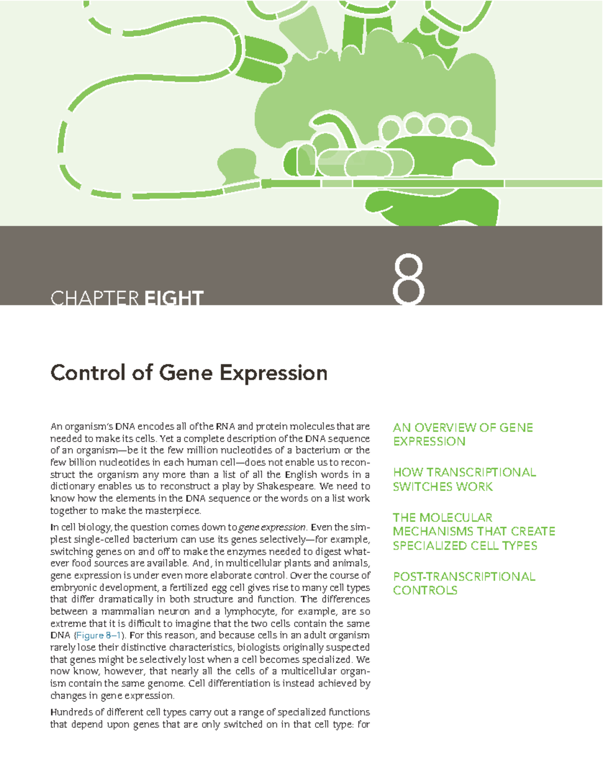 Regulation of Gene Expression reading material - Control of Gene ...