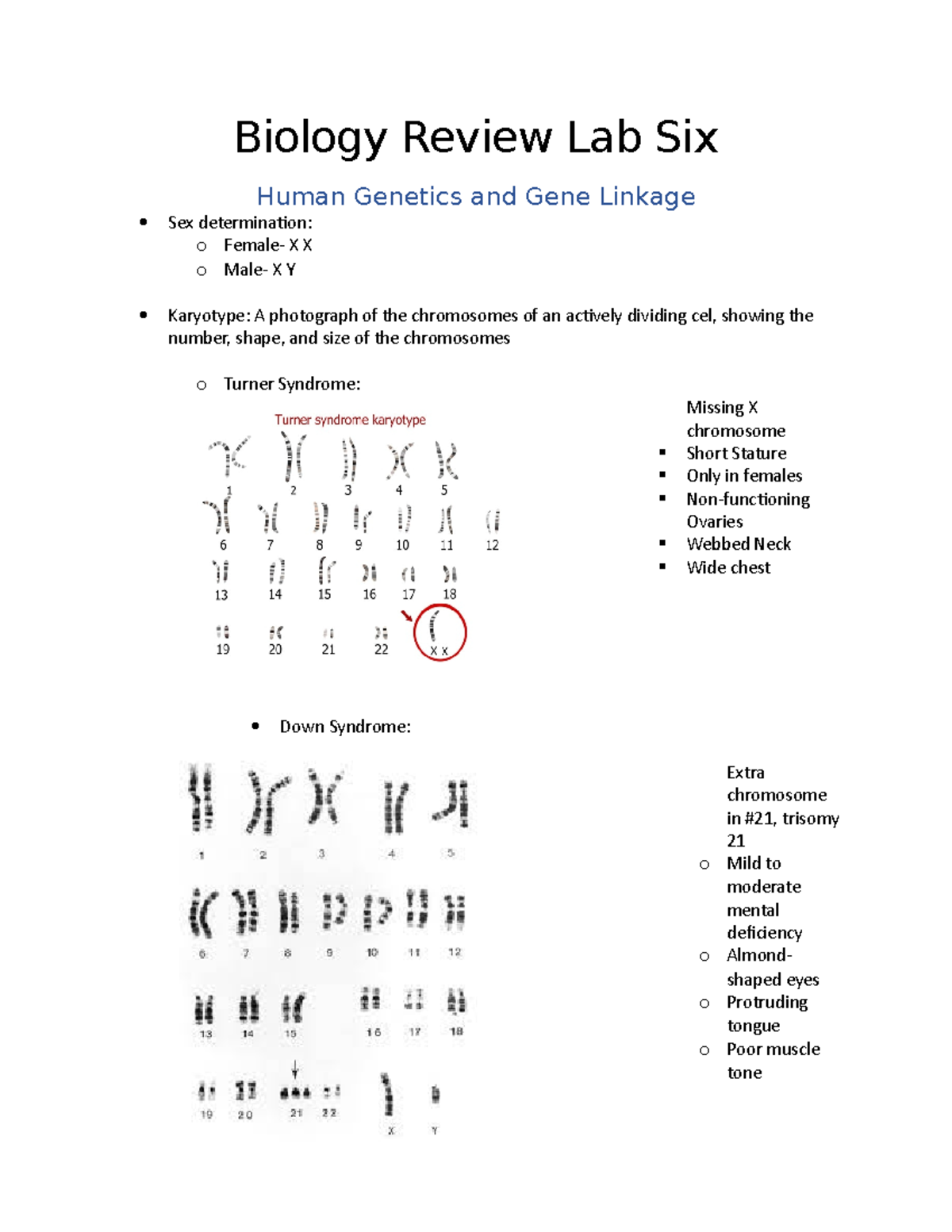 Biology Review Lab Six - Biology Review Lab Six Human Genetics and Gene ...