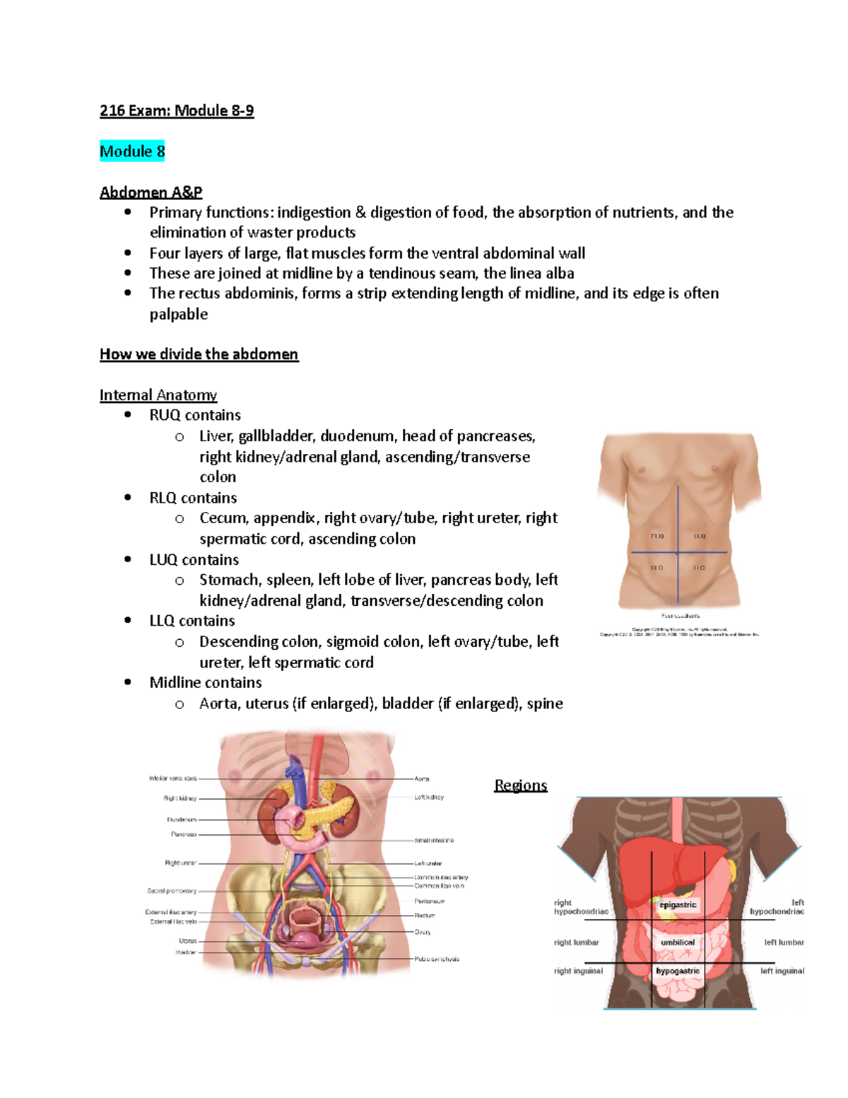 216 Exam 4 - 216 Exam 4 - 216 Exam: Module 8- Module 8 Abdomen A&P ...