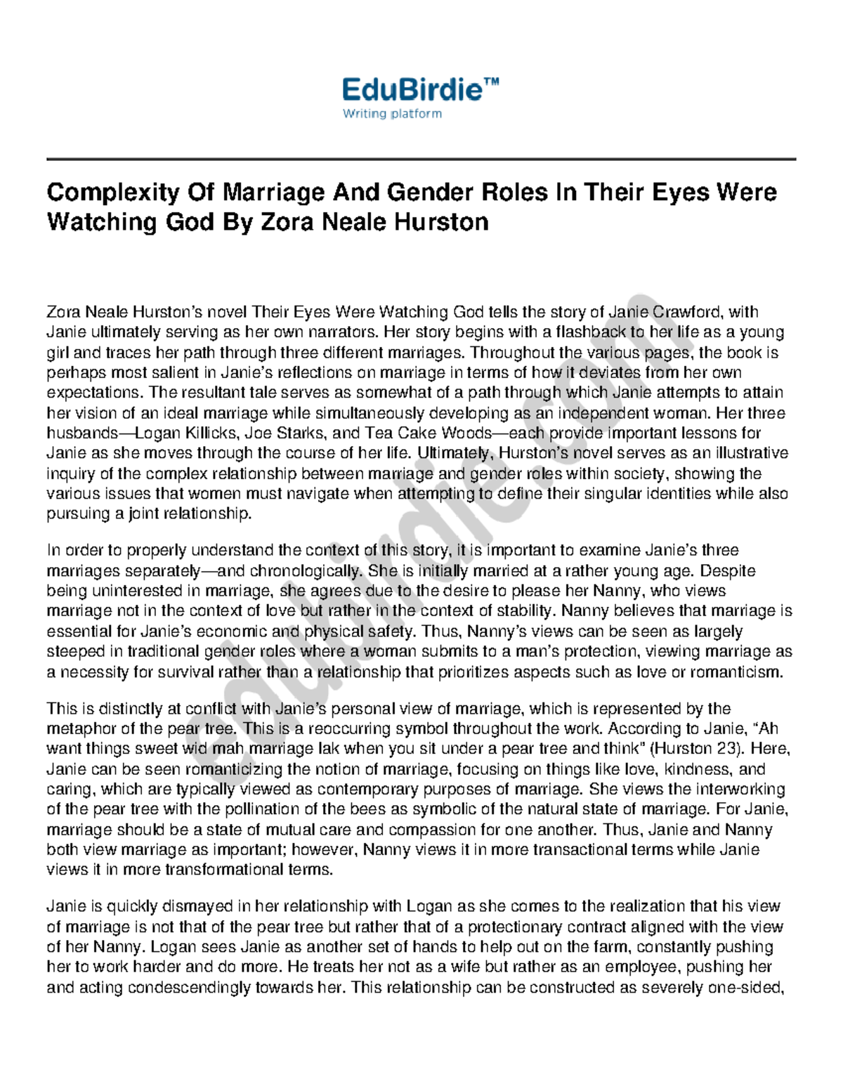 Complexity Of Marriage And Gender Roles In Their Eyes Were Watching God ...