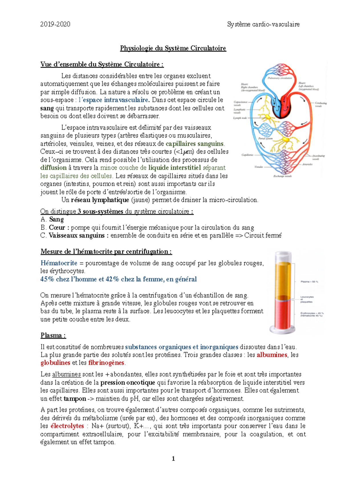 Syst circul physio - 2019-2020 Système cardio-vasculaire Physiologie du ...